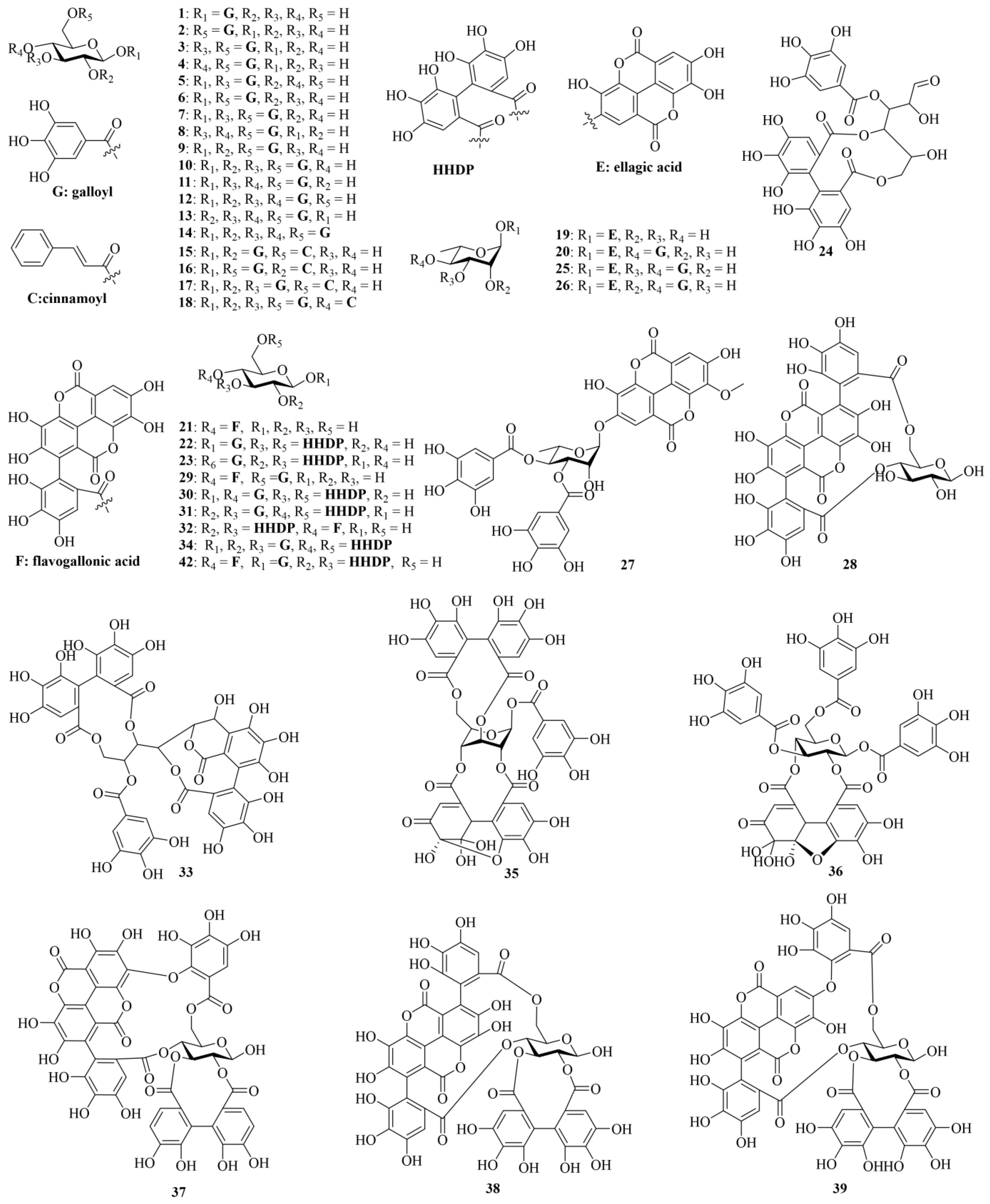 Comprehensive Review on Fruit of Terminalia chebula: Traditional Uses ...