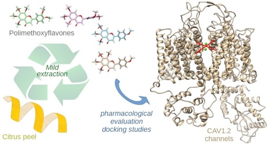 Bioguided Identification of Polymethoxyflavones as Novel Vascular CaV1 ...