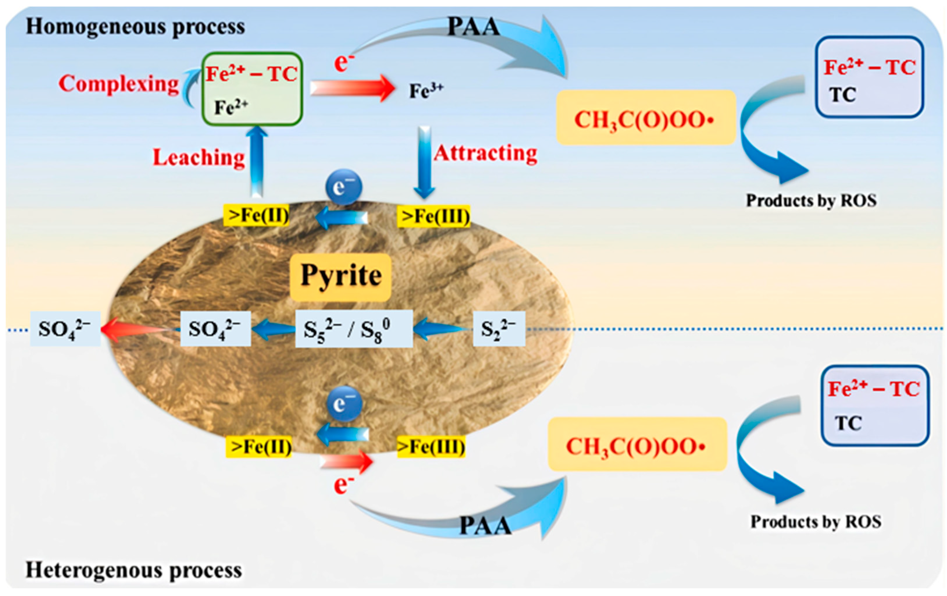 Progress and Perspectives on Pyrite-Derived Materials Applied in ...