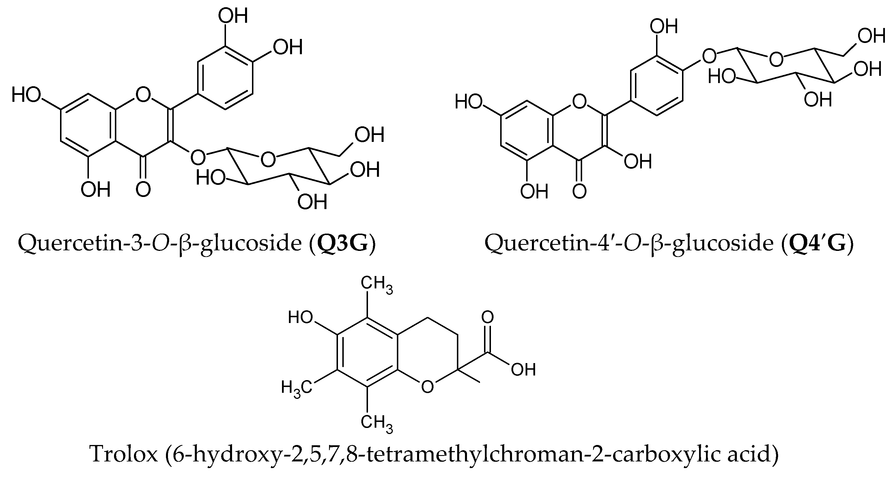 Multifaceted Biological Activity of Rutin, Quercetin, and Quercetin’s ...