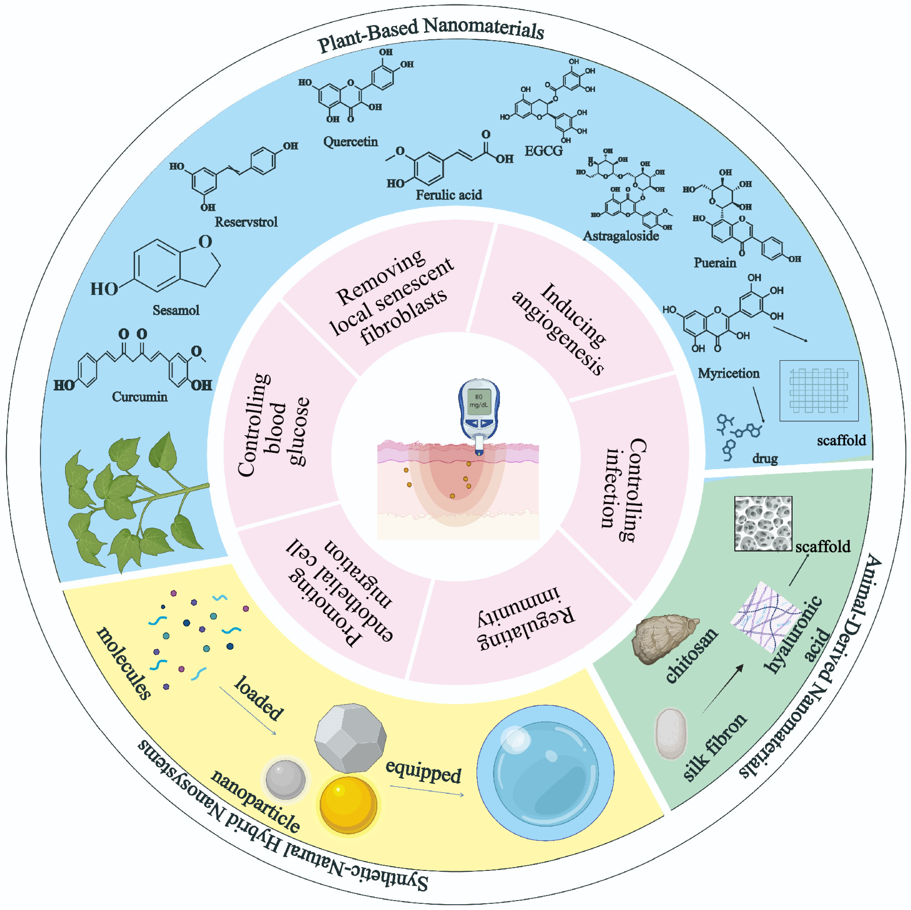 Natural Bioactive Compound-Integrated Nanomaterials for Diabetic Wound ...