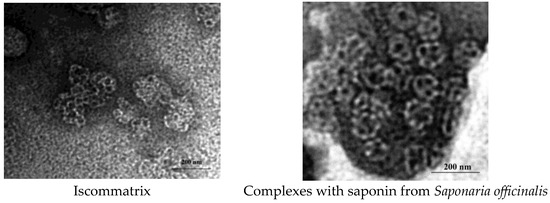 The Elicitation of an Antigen-Specific Antibody Immune Response Using a ...