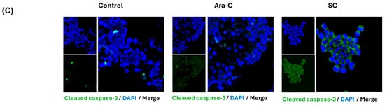 Antileukemic Potential of Sodium Caseinate in Cytarabine-Resistant HL60 ...
