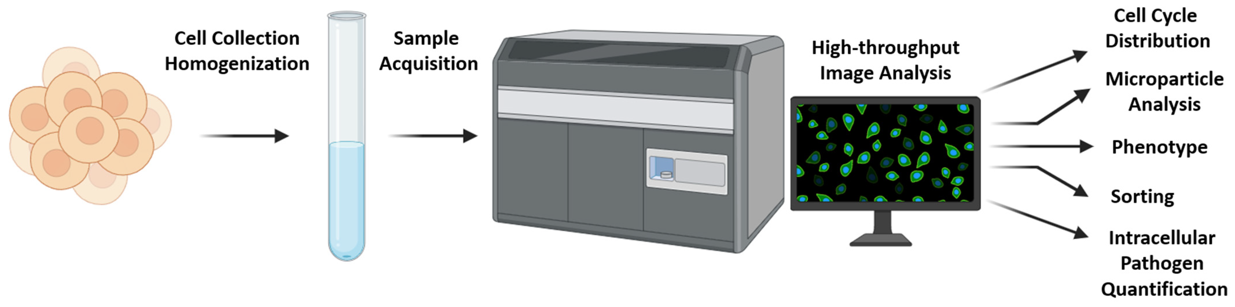 Imaging Flow Cytometry: Development, Present Applications, and Future ...