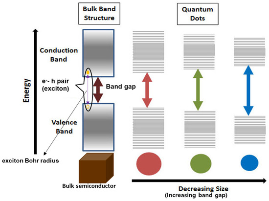 Exfoliation of MoS2 Quantum Dots: Recent Progress and Challenges | MDPI