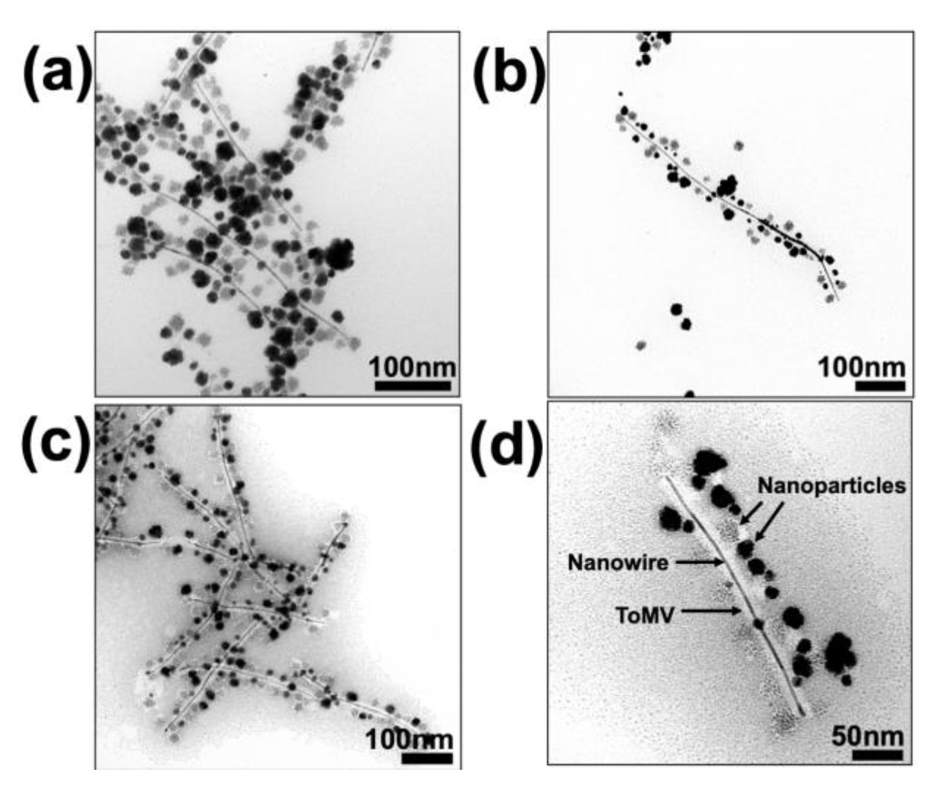 Production of Metallic Alloy Nanowires and Particles Templated Using ...