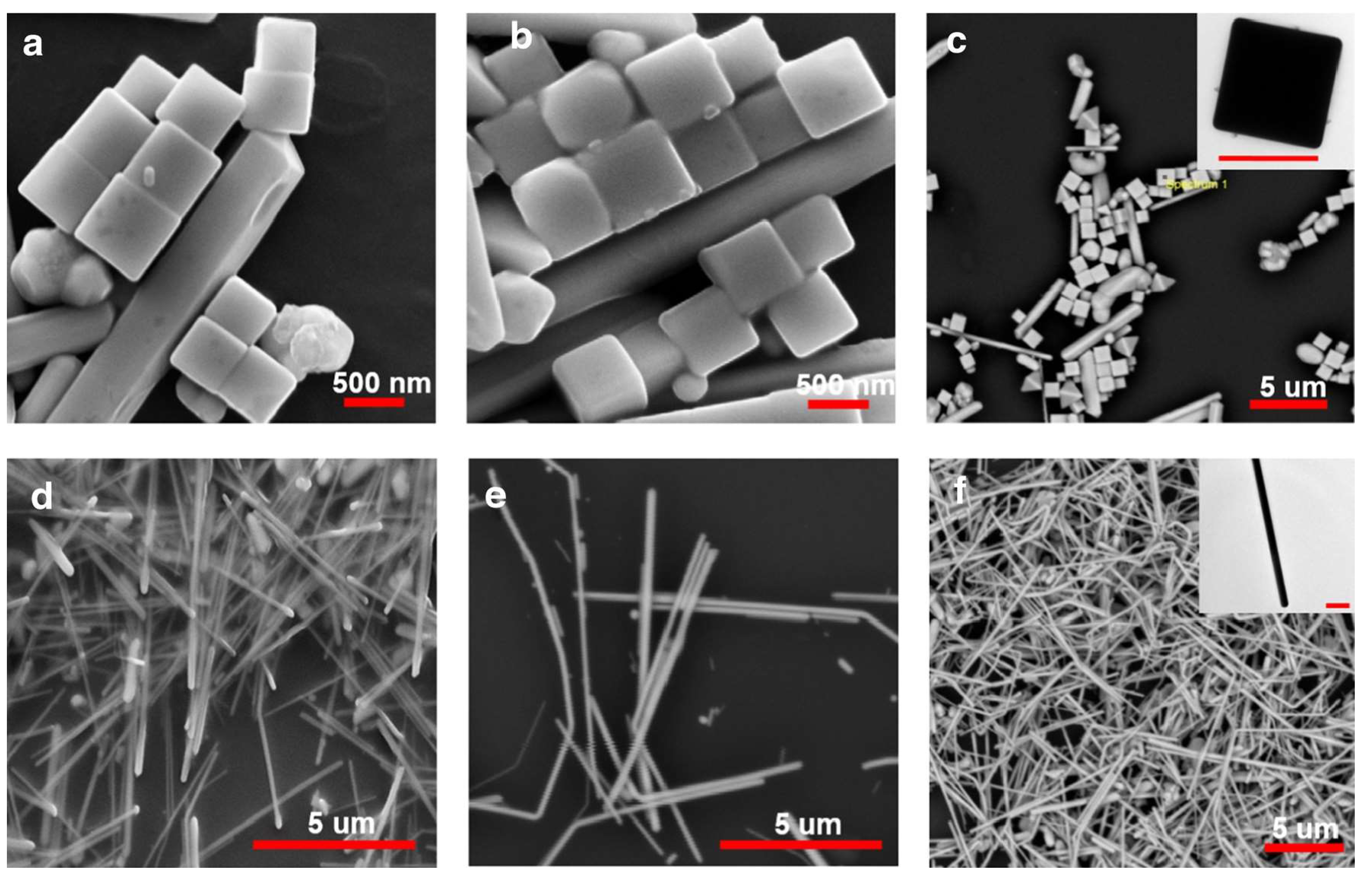 Introduction and Development of Surface-Enhanced Raman Scattering (SERS ...