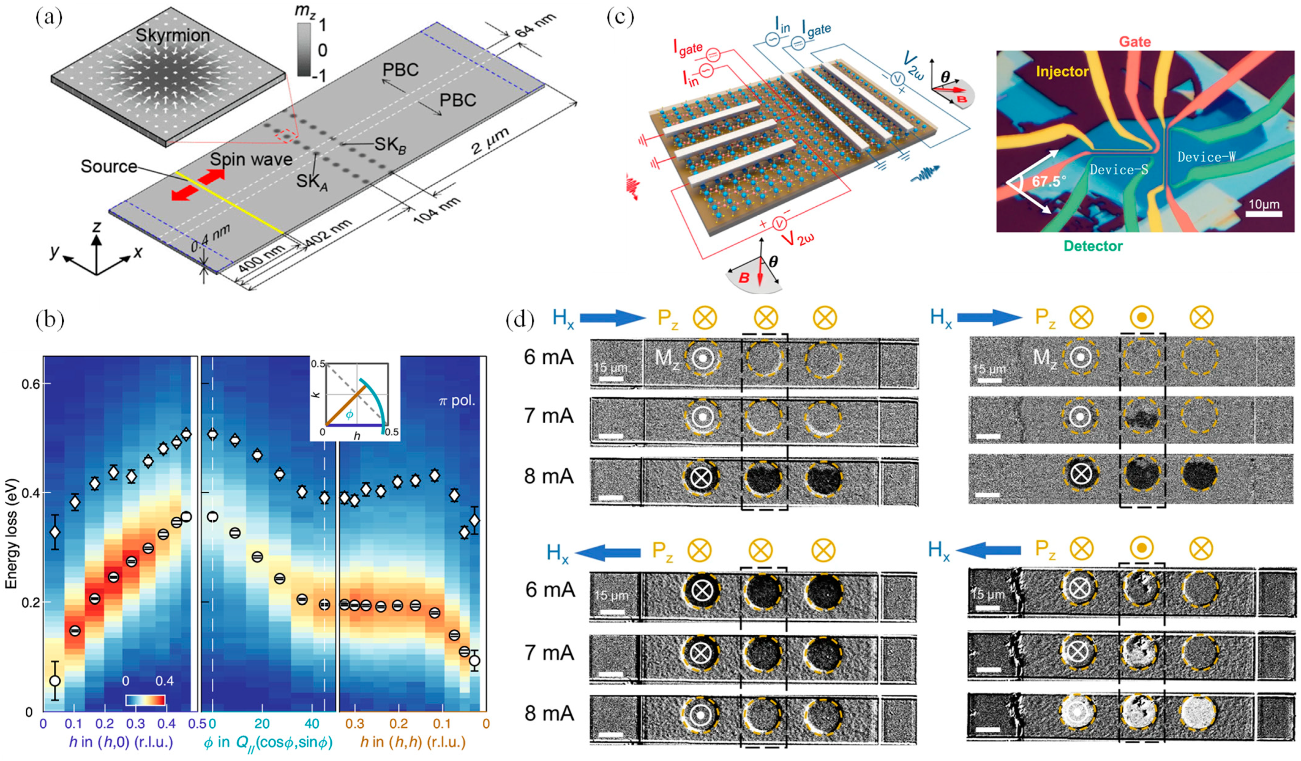 Recent Progress in Two-Dimensional Magnetic Materials | MDPI