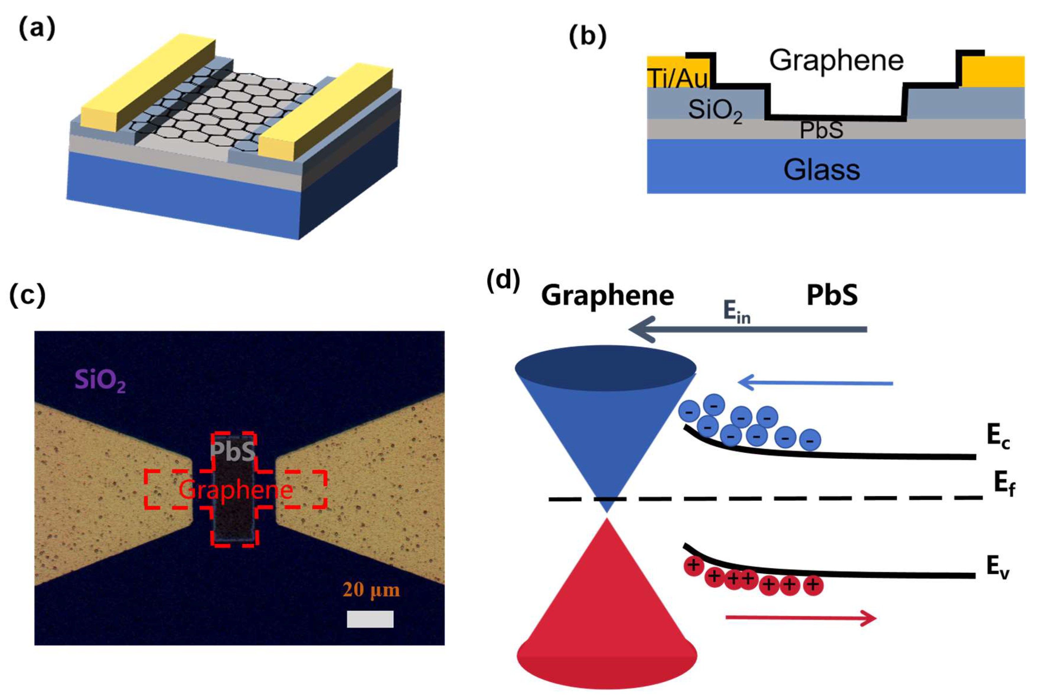 Broadband Graphene-PbS Heterostructure Photodetector with High ...