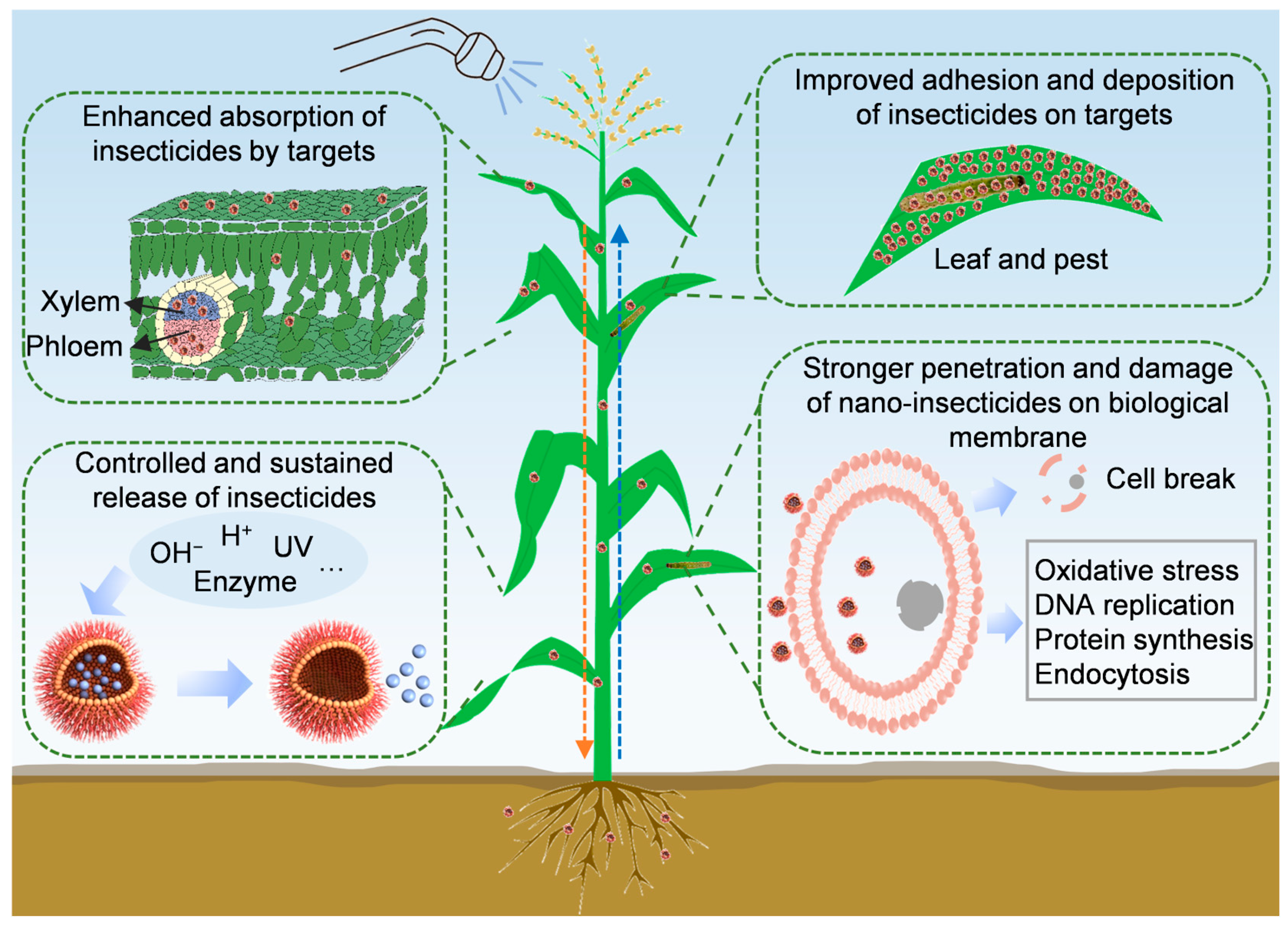 Nano-Enabled Insecticides for Efficient Pest Management: Definition ...