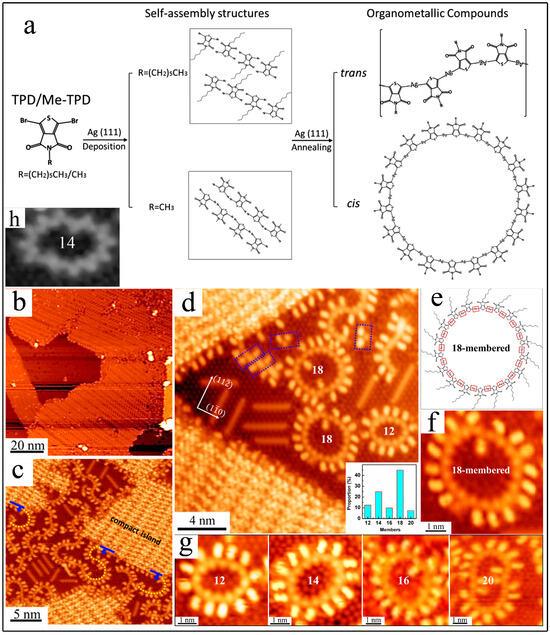 A Review of On-Surface Synthesis and Characterization of Macrocycles | MDPI