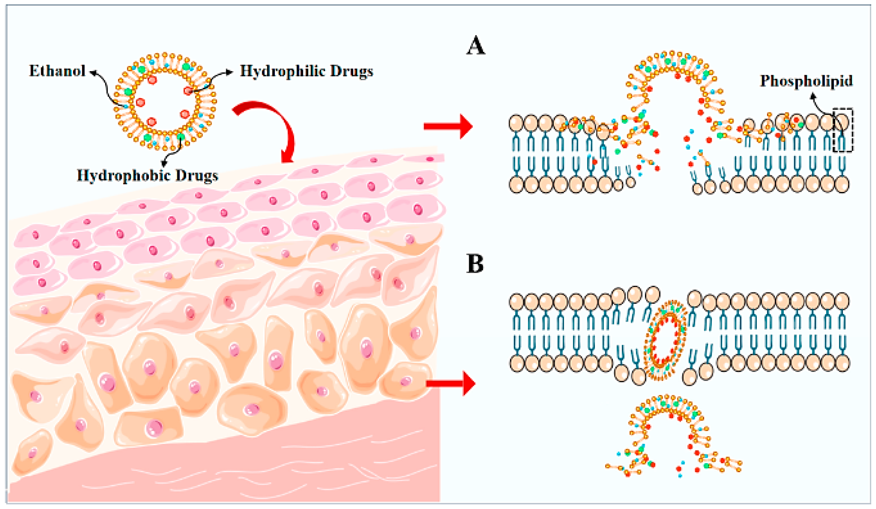 Lipid-Based Drug Delivery Systems: Concepts and Recent Advances in ...