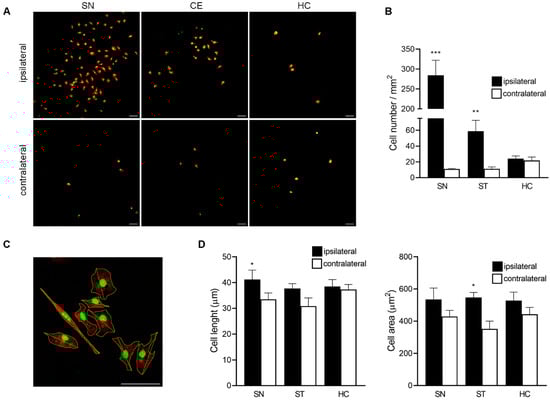Damage-Derived Reactive Glia from a Parkinson’s Disease Model Are ...
