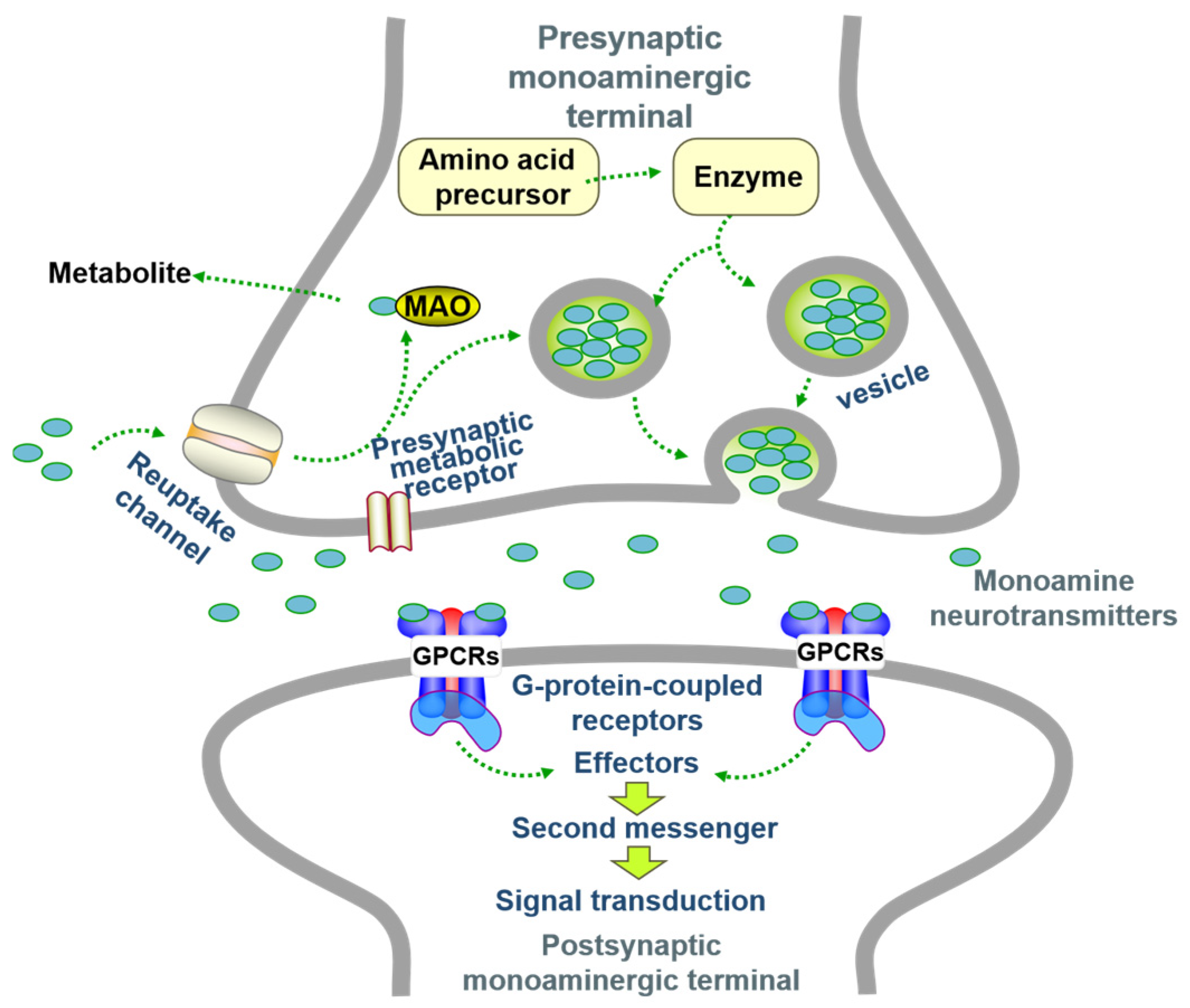 The Pathogenesis and Medical Treatment of Depression: Opportunity and ...
