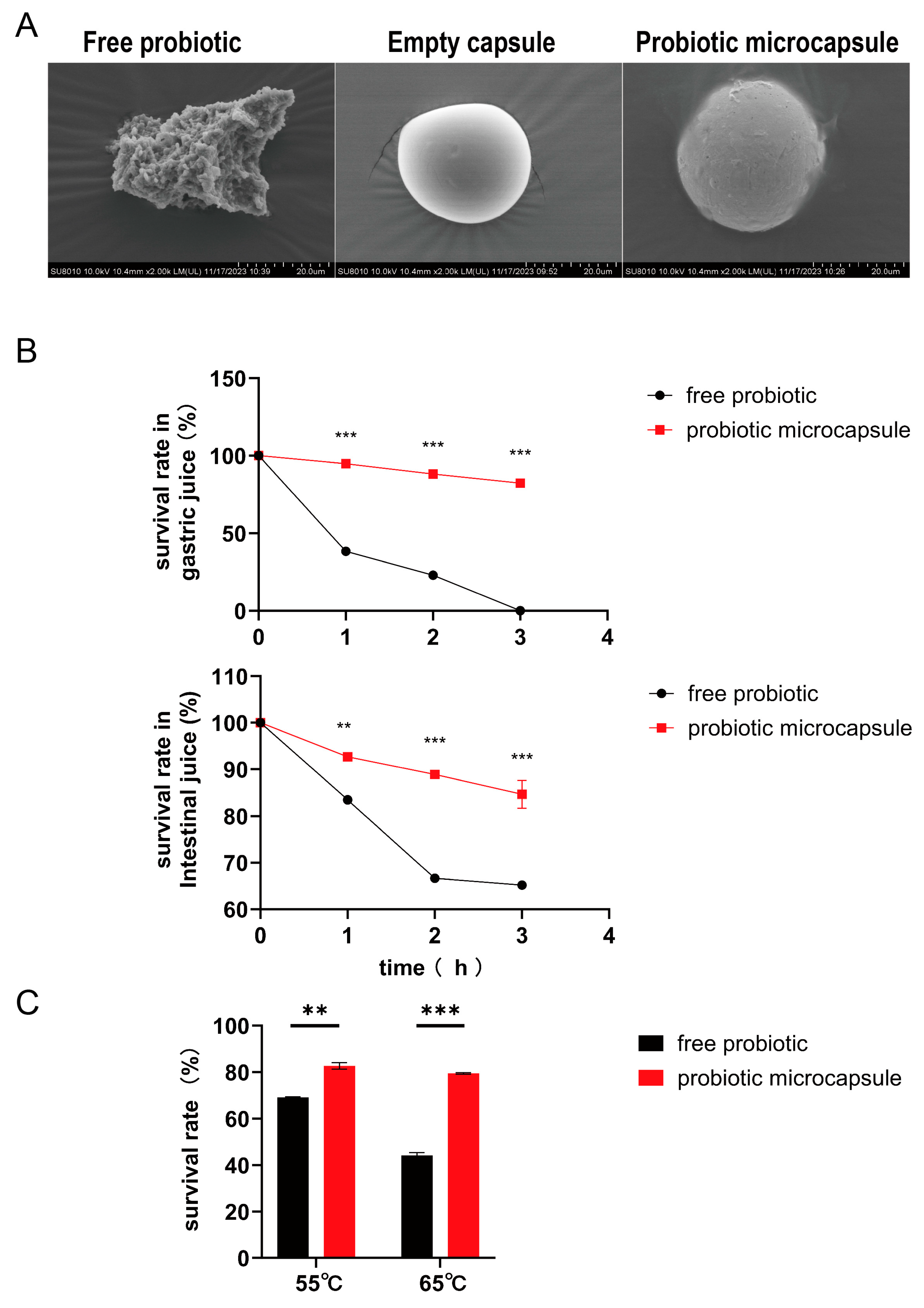 The Lactobacillus plantarum P-8 Probiotic Microcapsule Prevents DSS ...