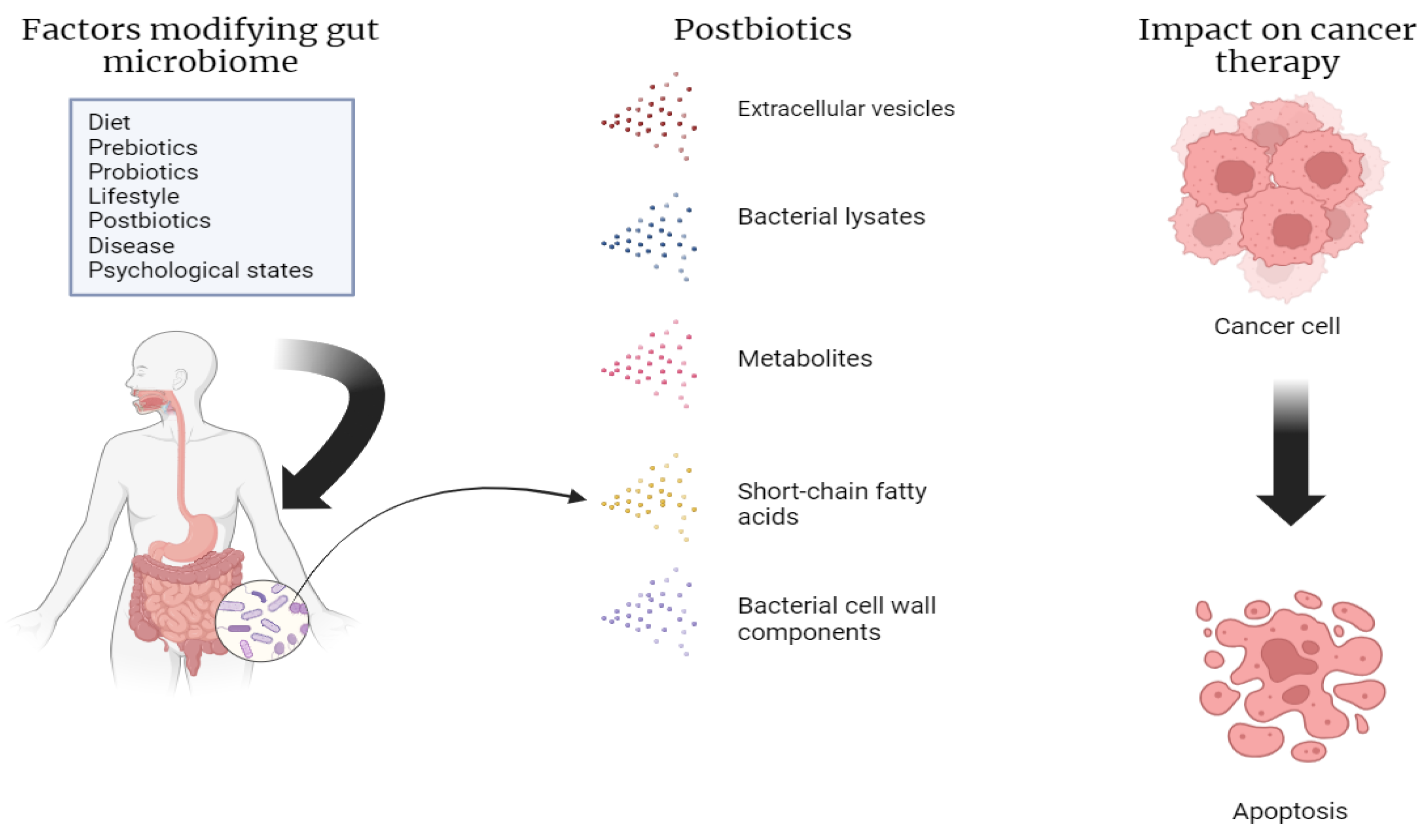 Postbiotics as Adjuvant Therapy in Cancer Care | MDPI