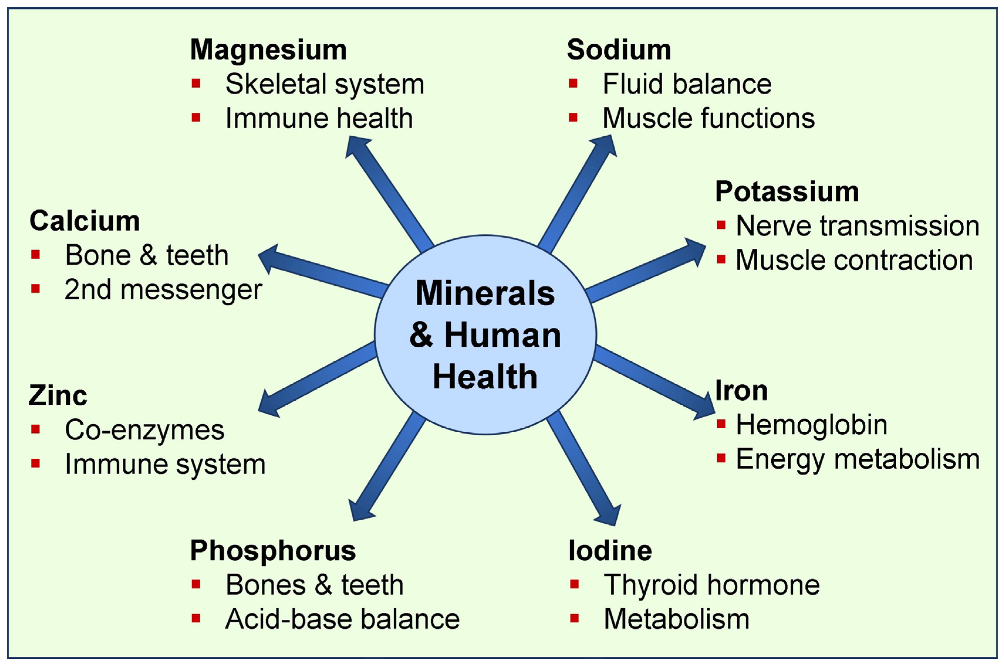 Minerals and Human Health: From Deficiency to Toxicity | MDPI