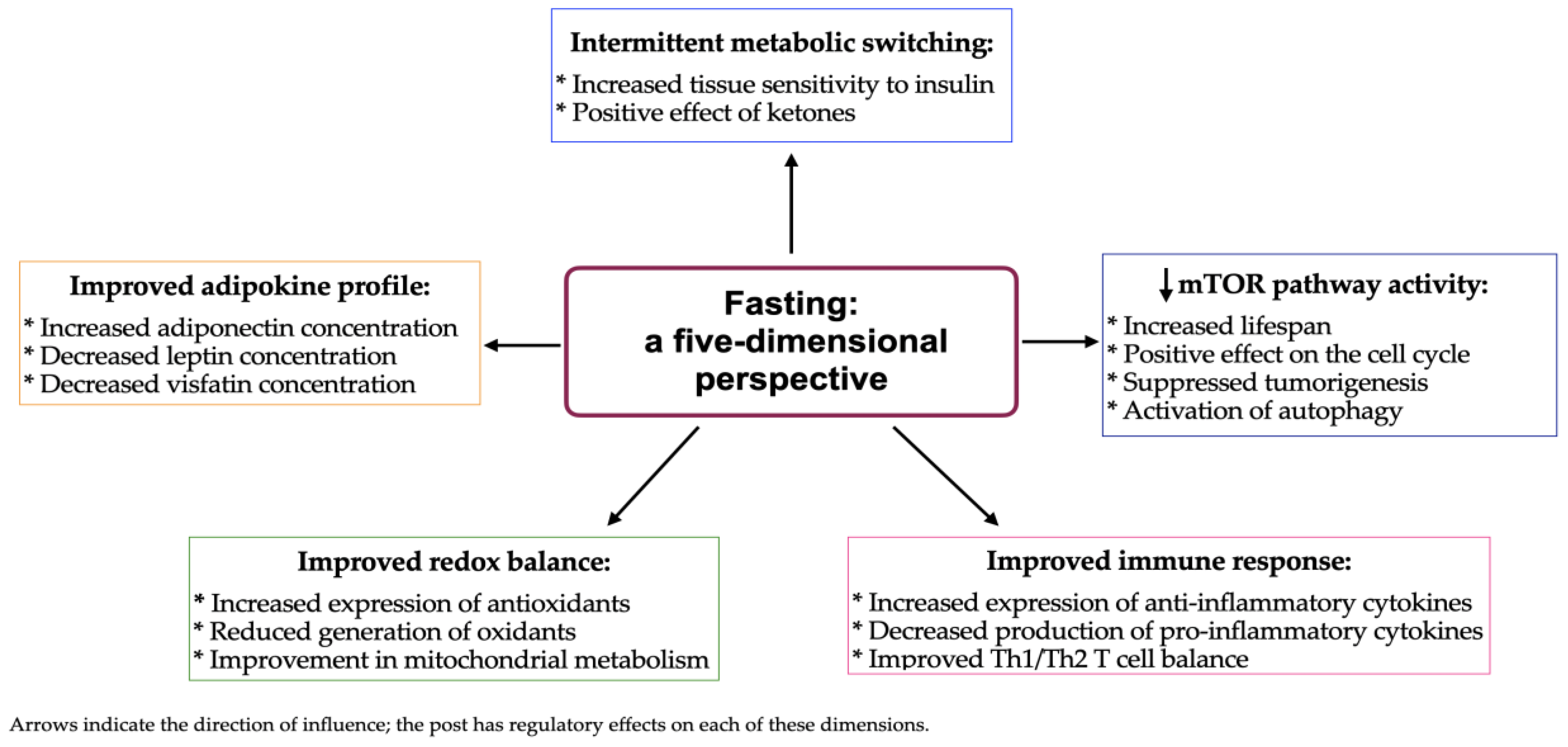 A Comprehensive Perspective on the Biological Effects of Intermittent ...