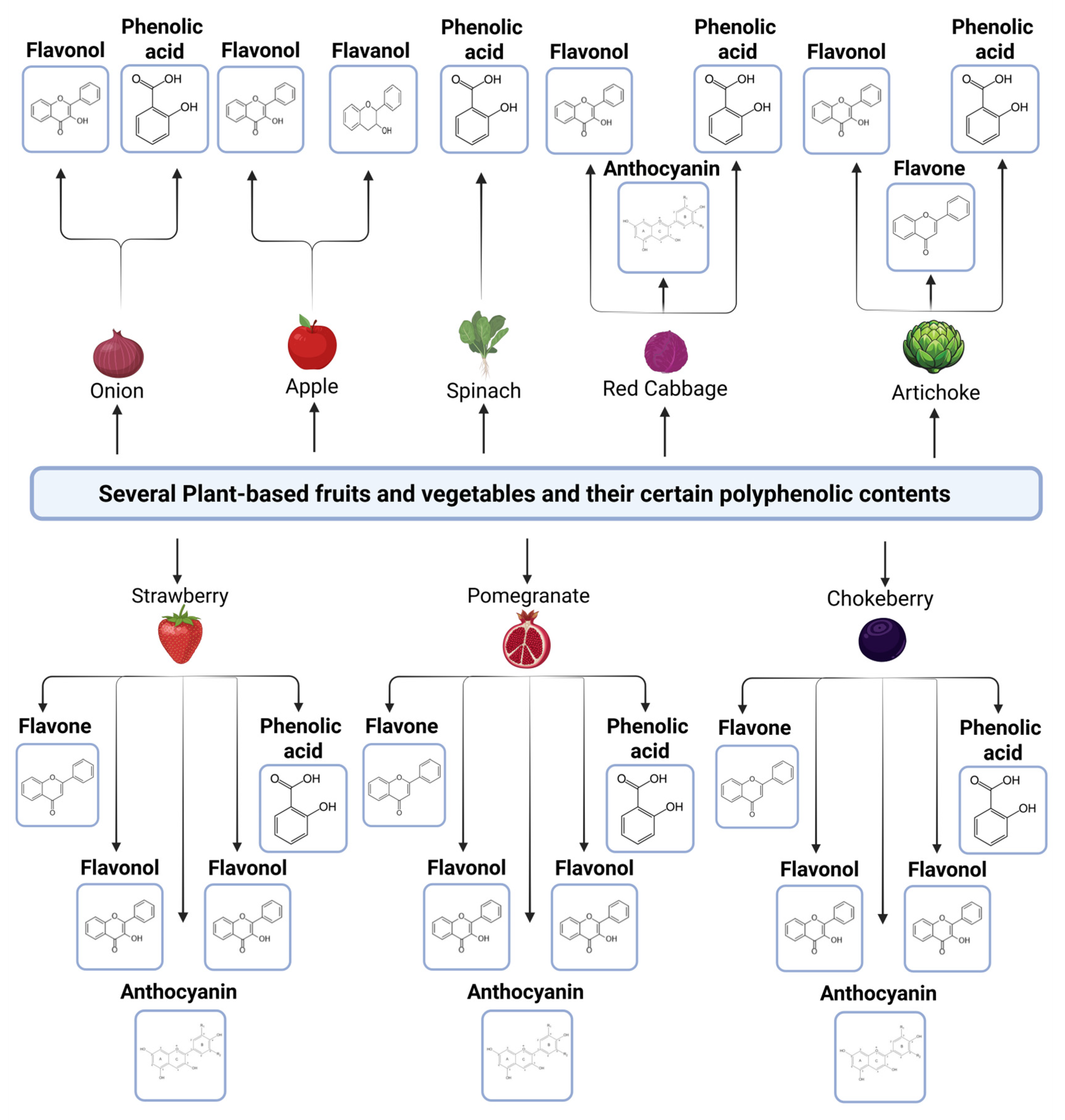 Polyphenols as Antiviral Agents: Their Potential Against a Range of ...