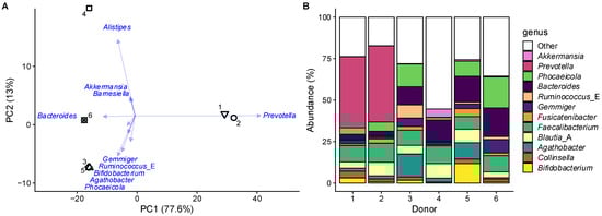N-Acetylglucosamine and Immunoglobulin Strengthen Gut Barrier Integrity ...