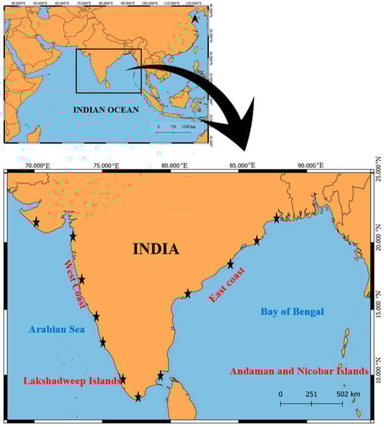 Annotated Checklist and Biodiversity of Sea Cucumbers (Holothuroidea ...