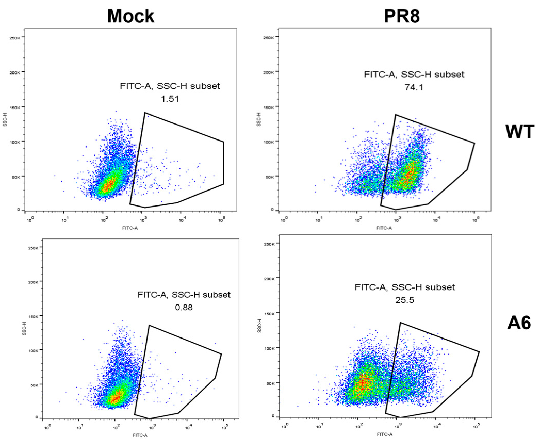 SNX11 Deletion Inhibits Dabie bandavirus Infection by Interfering with ...