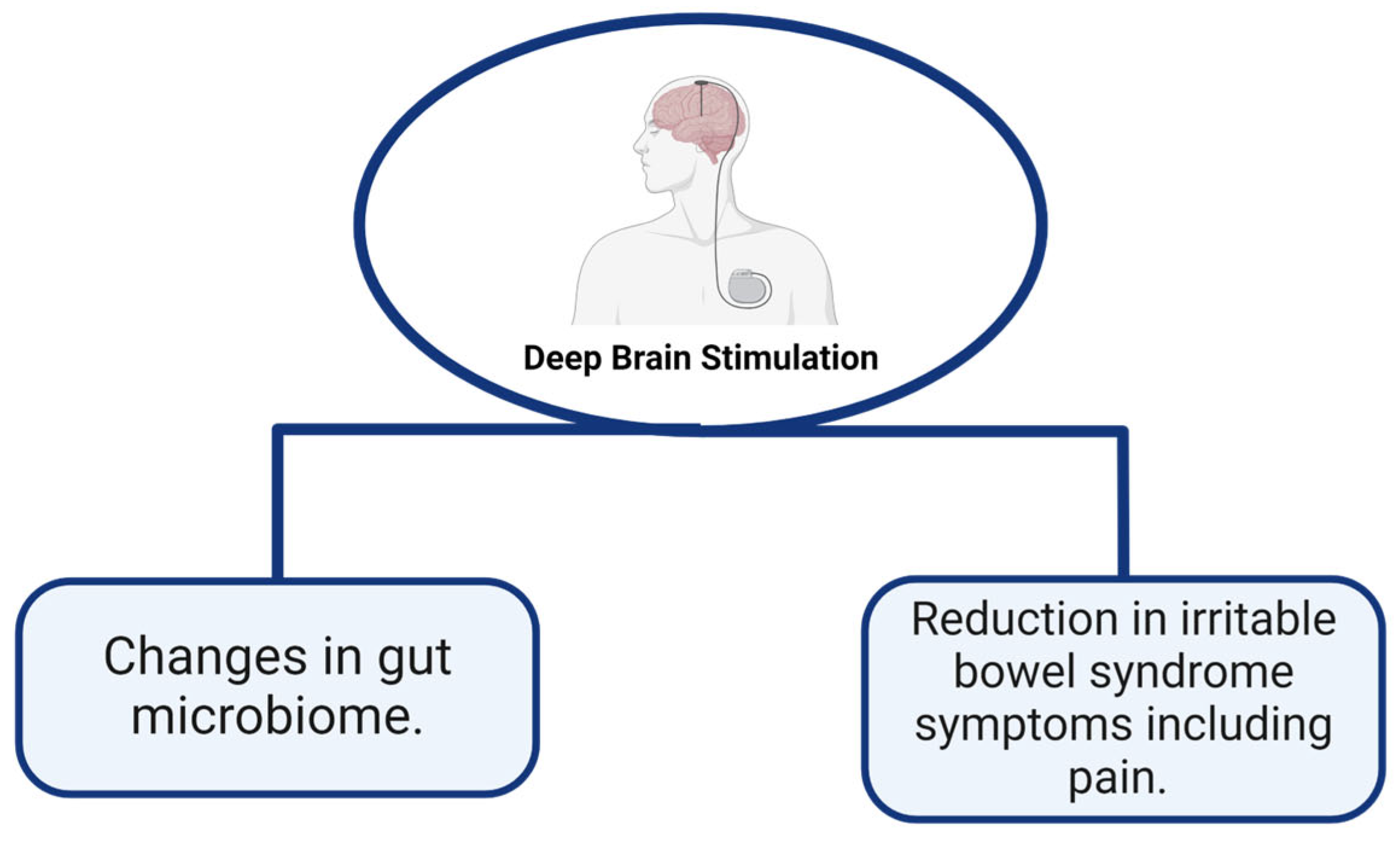 Neuromodulation and the Gut–Brain Axis: Therapeutic Mechanisms and ...