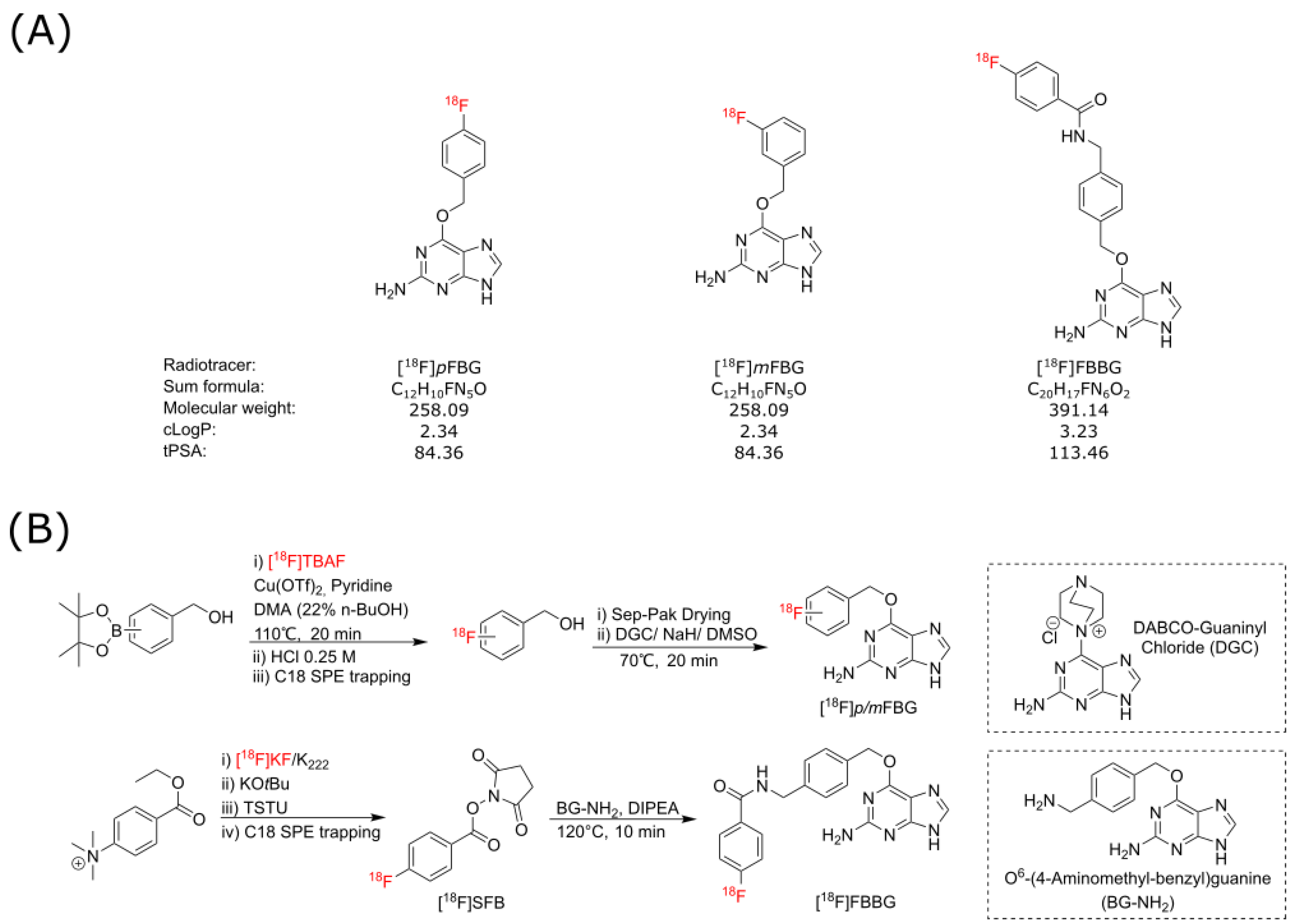 Covalent 18F-Radiotracers for SNAPTag: A New Toolbox for Reporter Gene ...