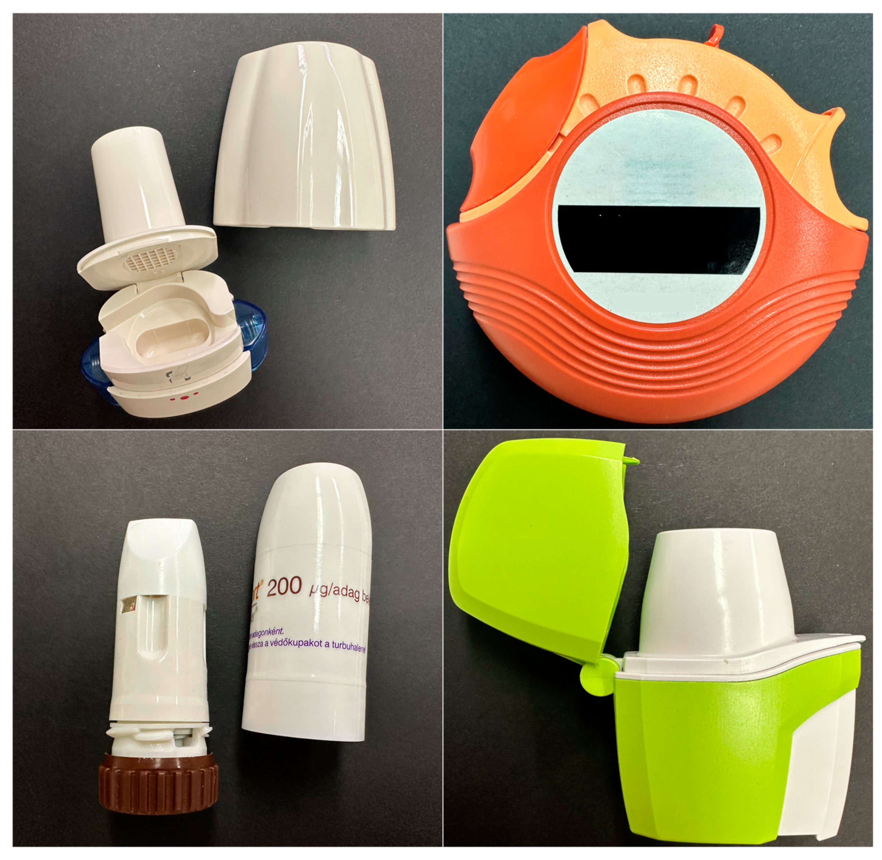 Inhalation Dosage Forms: A Focus on Dry Powder Inhalers and Their ...