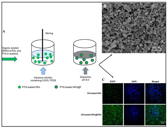 Lipid-Based Nanoparticles in Delivering Bioactive Compounds for ...