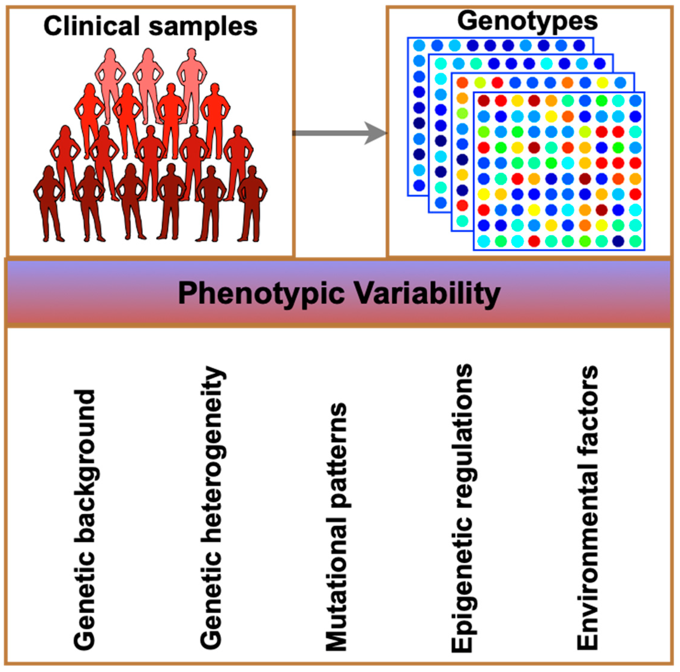 Pharmacogenomics: A Genetic Approach to Drug Development and Therapy | MDPI
