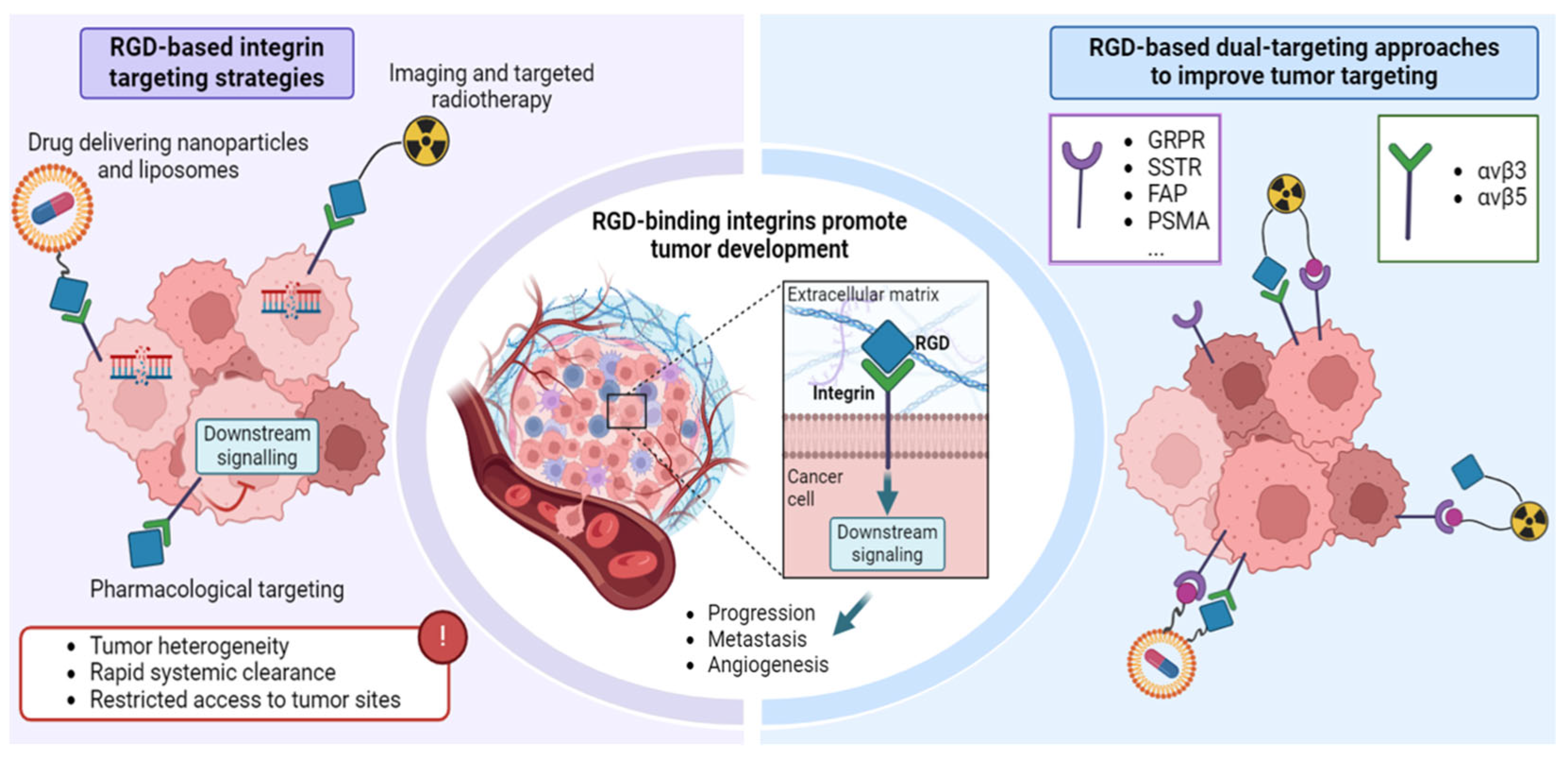 Integrin Targeting and Beyond: Enhancing Cancer Treatment with Dual ...