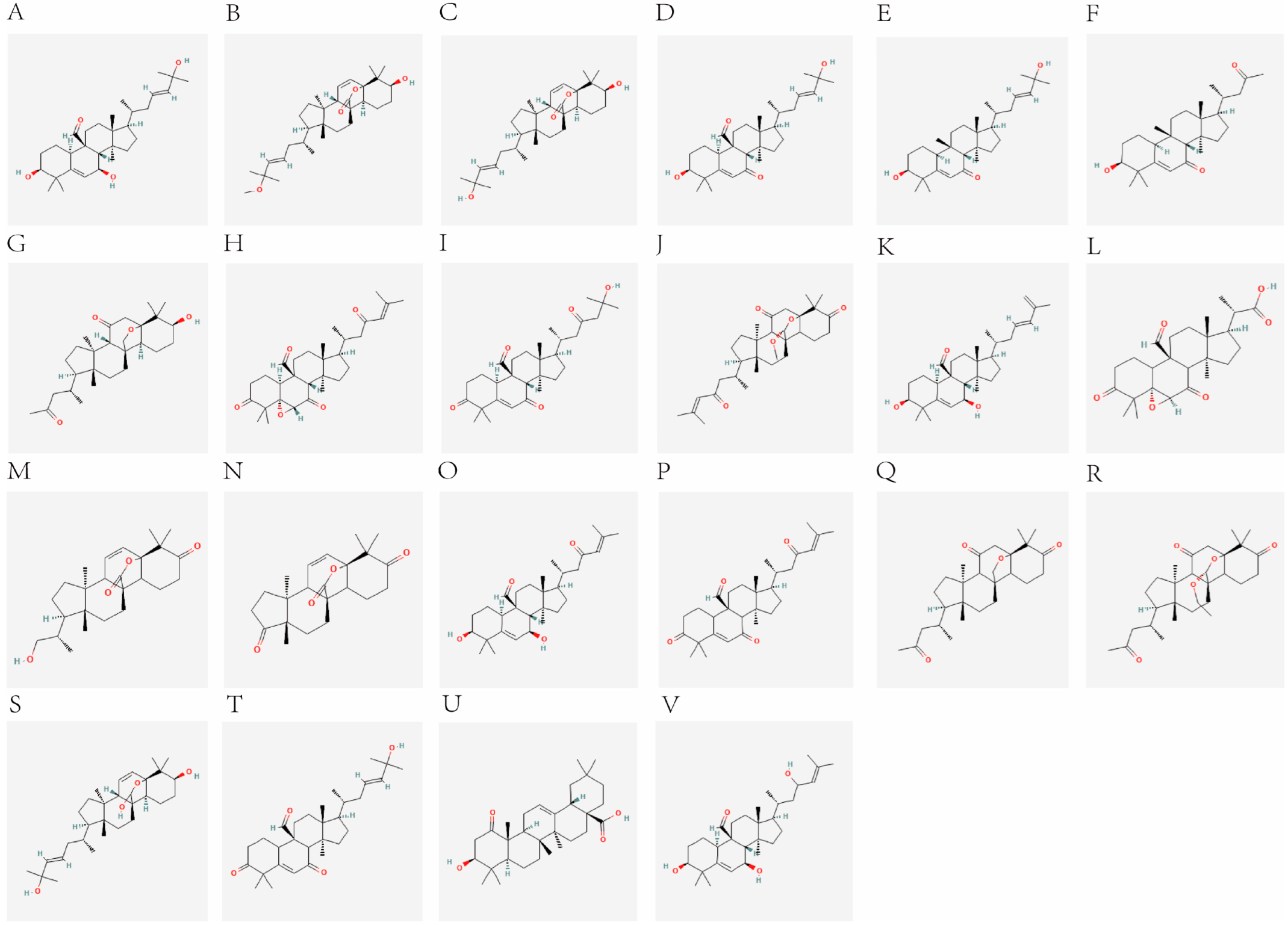 Comprehensive Studies on the Regulation of Type 2 Diabetes by ...