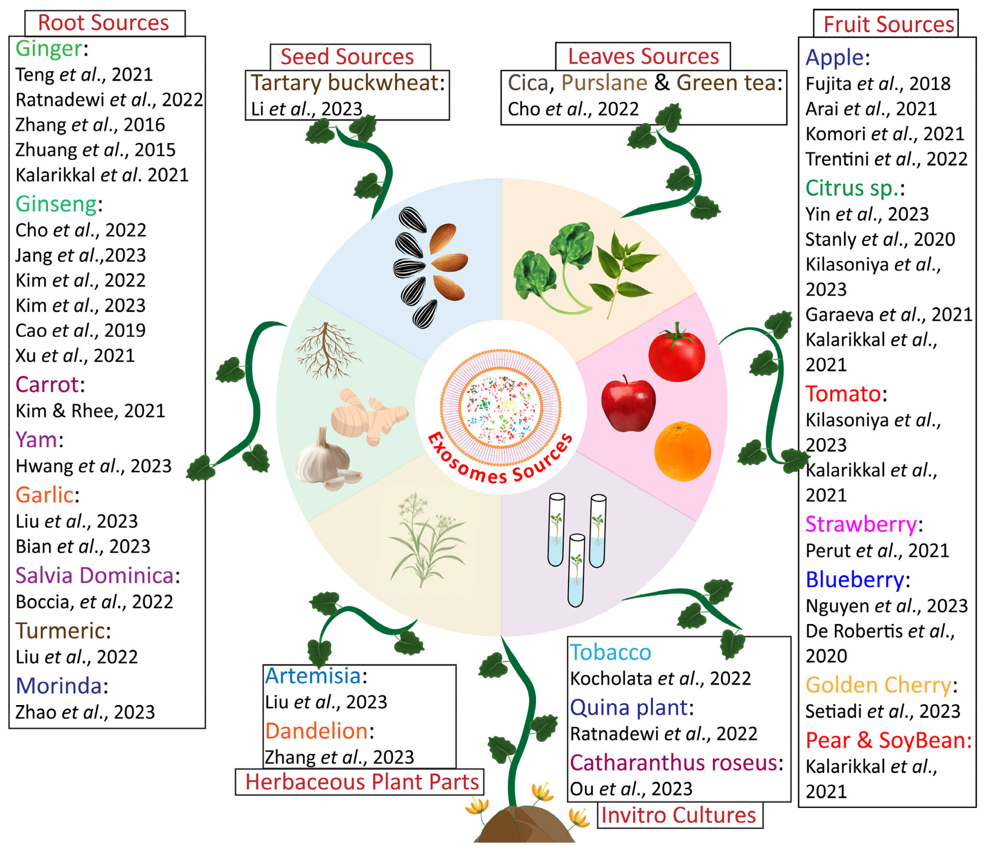 Plant-Derived Exosomes: Nano-Inducers of Cross-Kingdom Regulations | MDPI