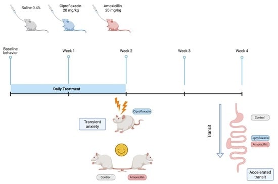 Fluoroquinolone-Associated Disability: A Rodent Model Reveals Transient ...