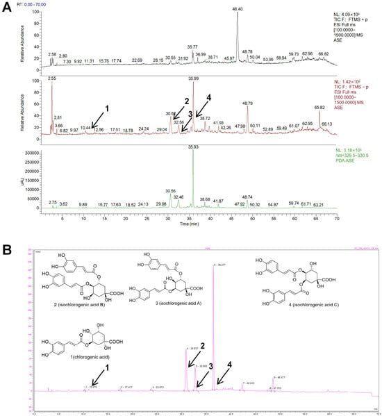 Network Pharmacology Analysis and Experimental Study of Yinchen Against ...