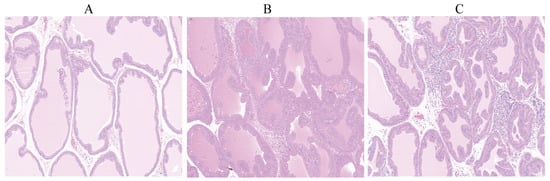 UHPLC–Q–Orbitrap–HRMS-Based Multilayer Mapping of the Pharmacodynamic ...
