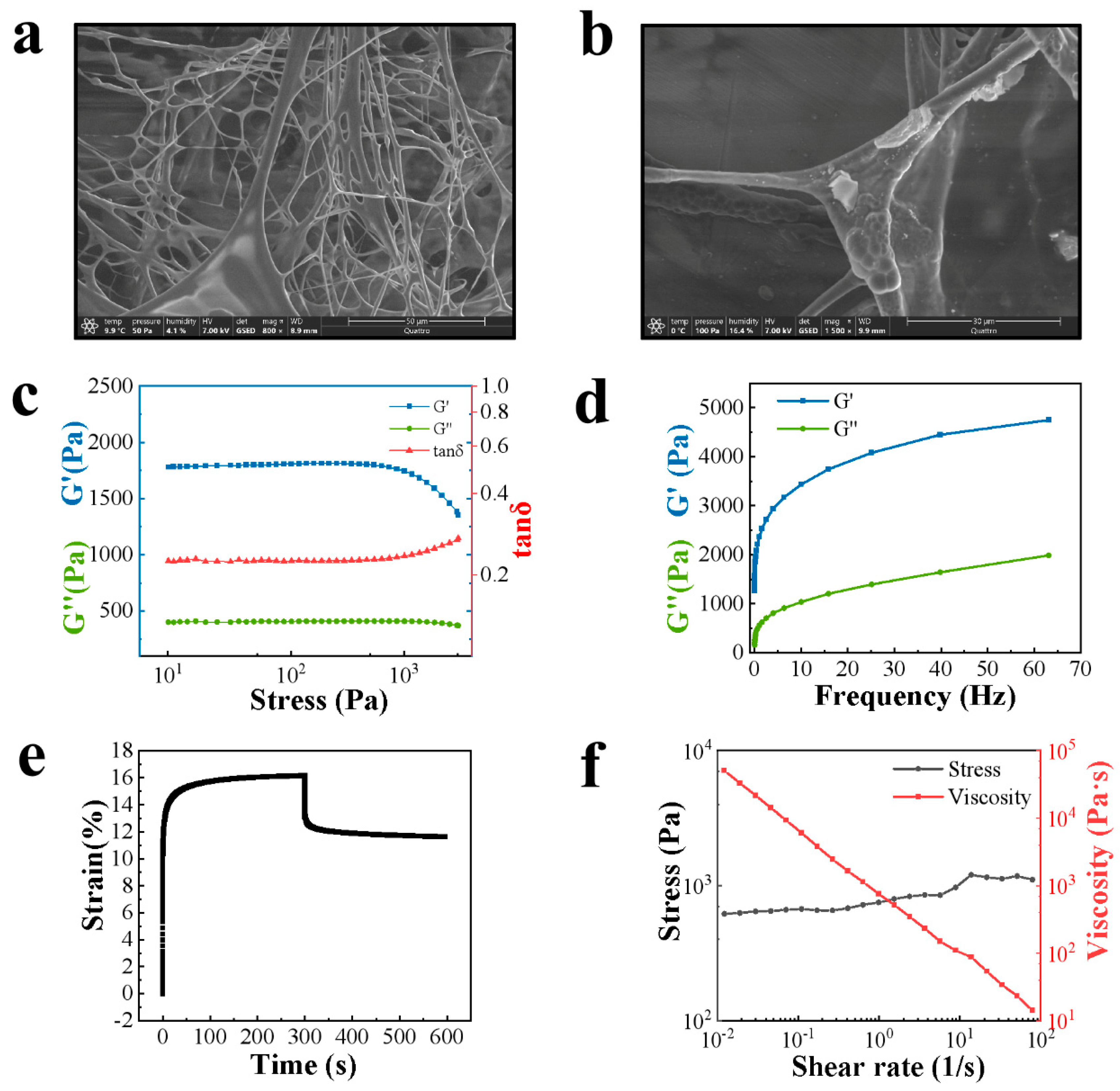 Topical Delivery of Ketorolac Tromethamine via Cataplasm for ...