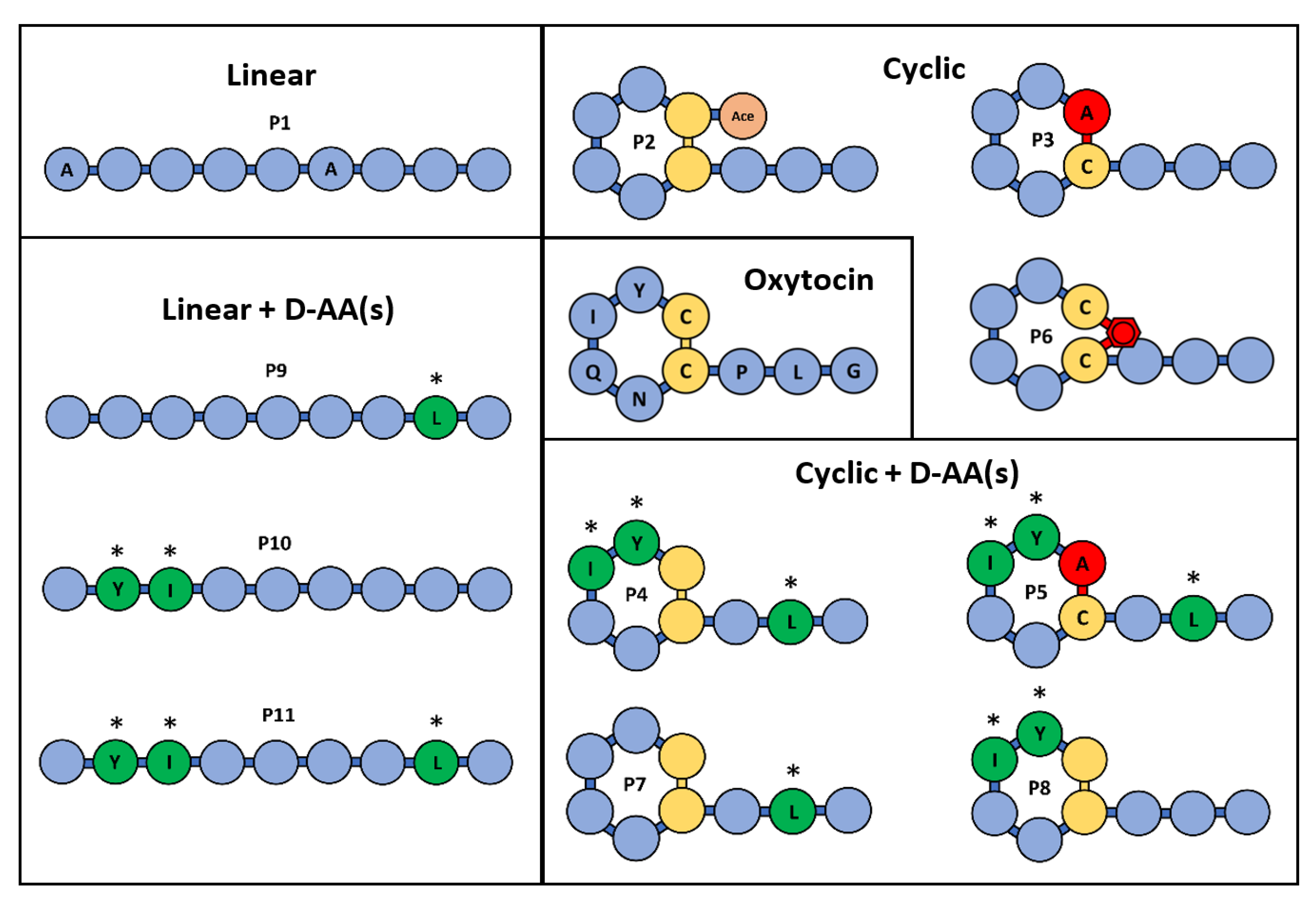 Impact of Peptide Structure on Colonic Stability and Tissue ...