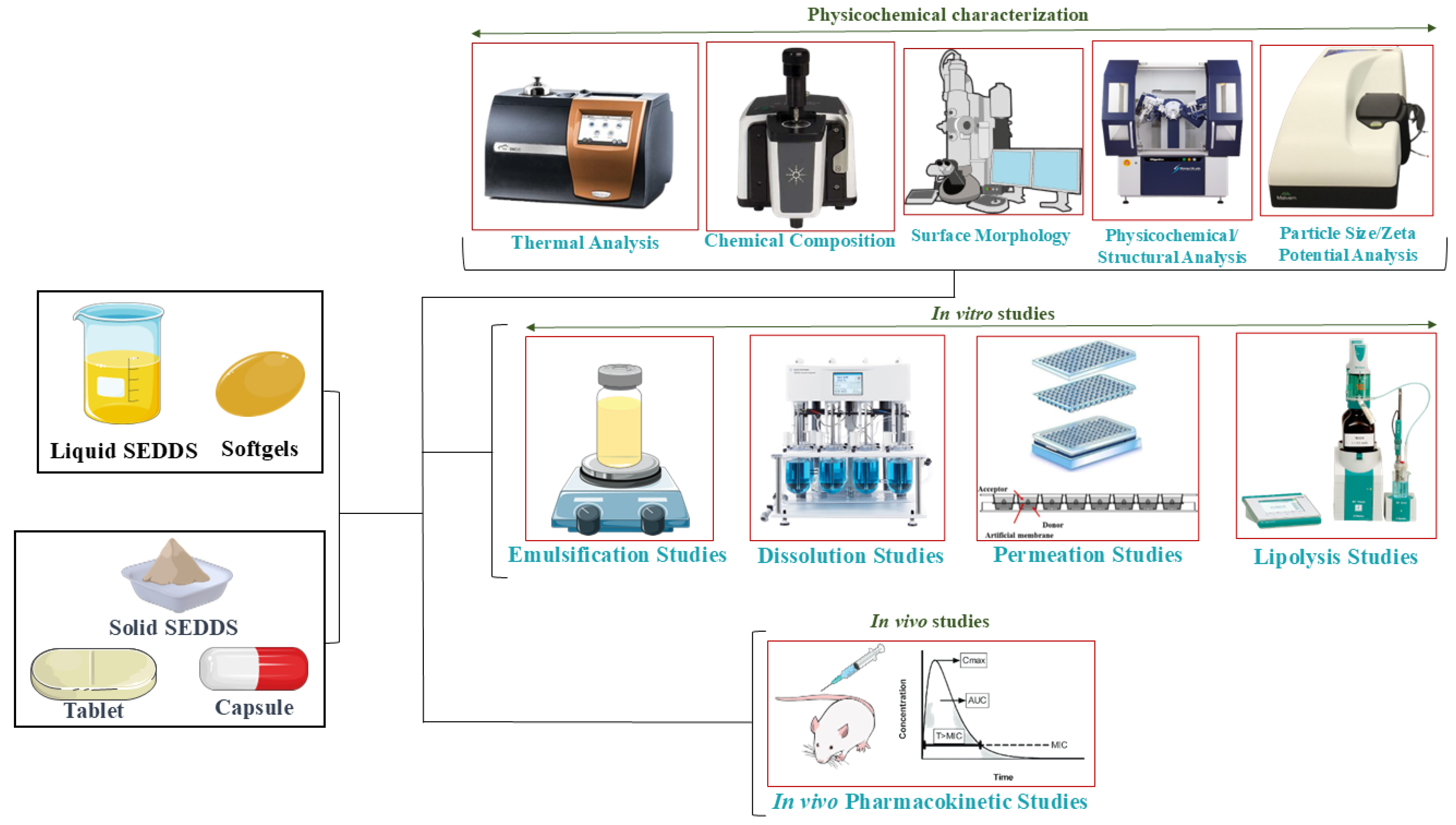 Self-Emulsifying Drug Delivery Systems (SEDDS): Transition from Liquid ...