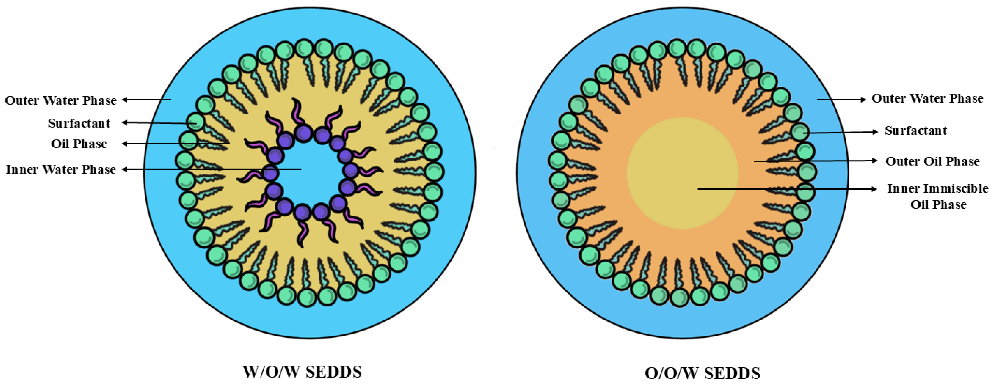 Self-Emulsifying Drug Delivery Systems (SEDDS): Transition from Liquid ...