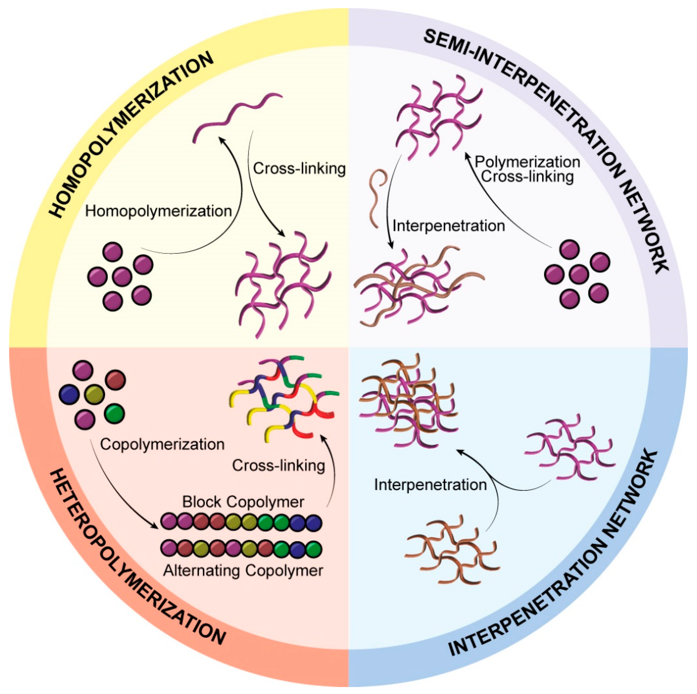 Hydrogels and Nanogels: Pioneering the Future of Advanced Drug Delivery ...