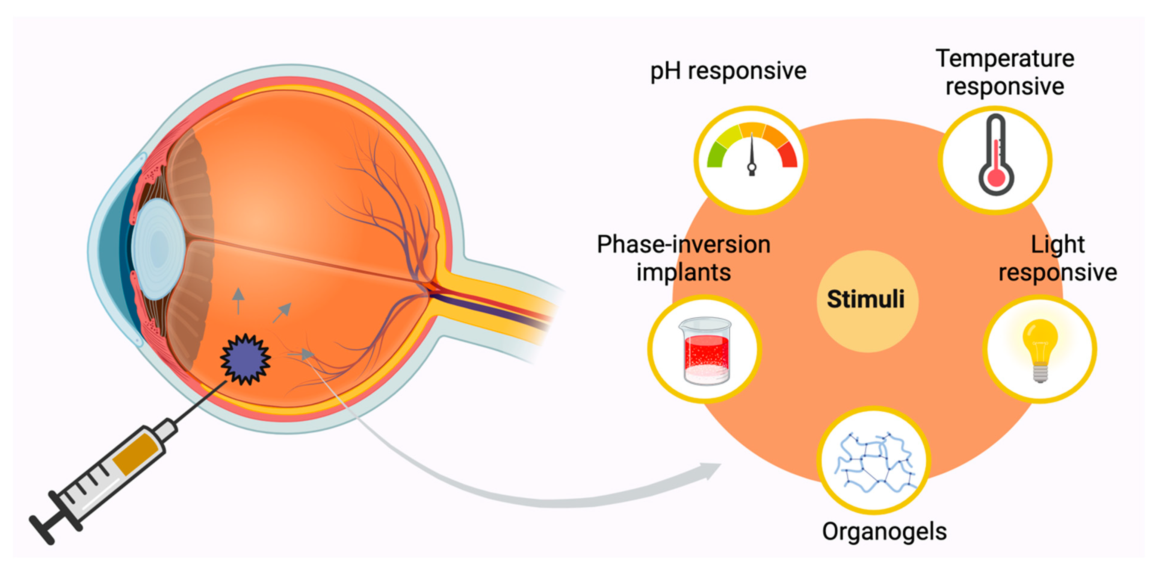 Ocular Drug Delivery: Emerging Approaches and Advances | MDPI
