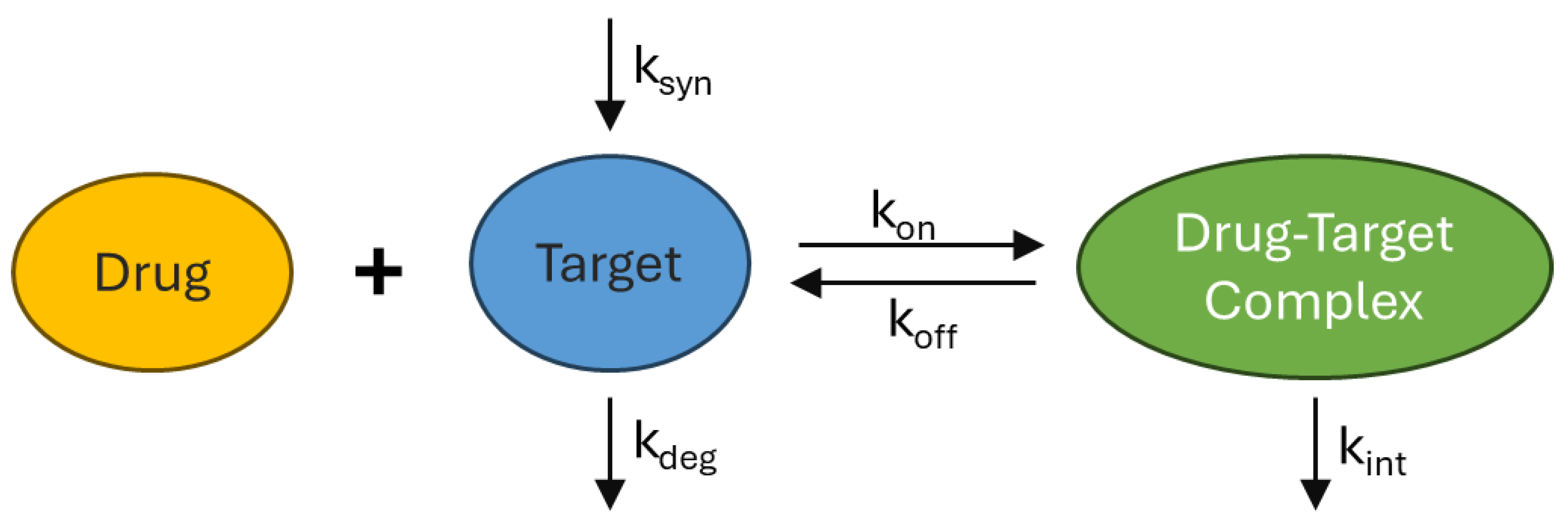Accelerating Biologics PBPK Modelling with Automated Model Building: A ...
