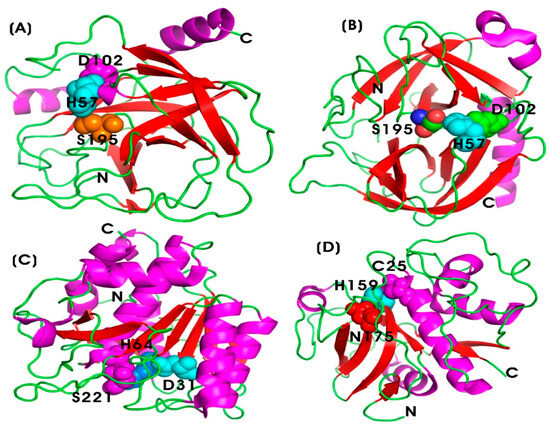 Enzyme-Based Anti-Inflammatory Therapeutics for Inflammatory Diseases ...