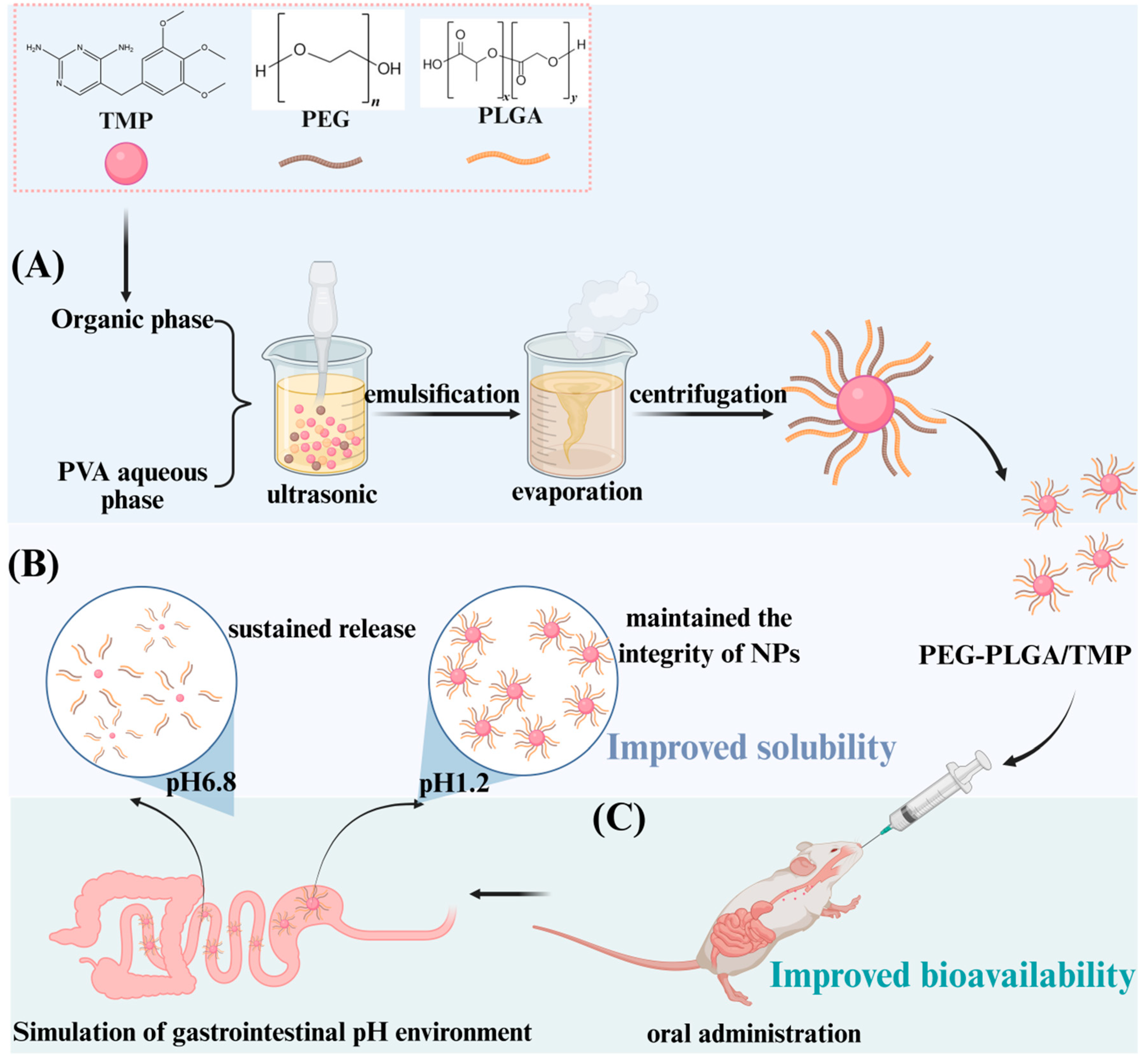 Enhancing the Solubility and Oral Bioavailability of Trimethoprim ...