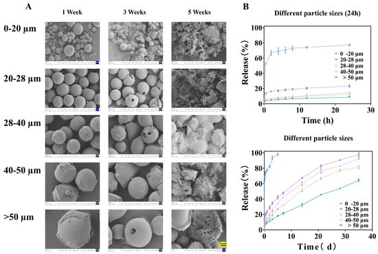 Span Value as a Critical Quality Attribute for PLGA Microspheres ...
