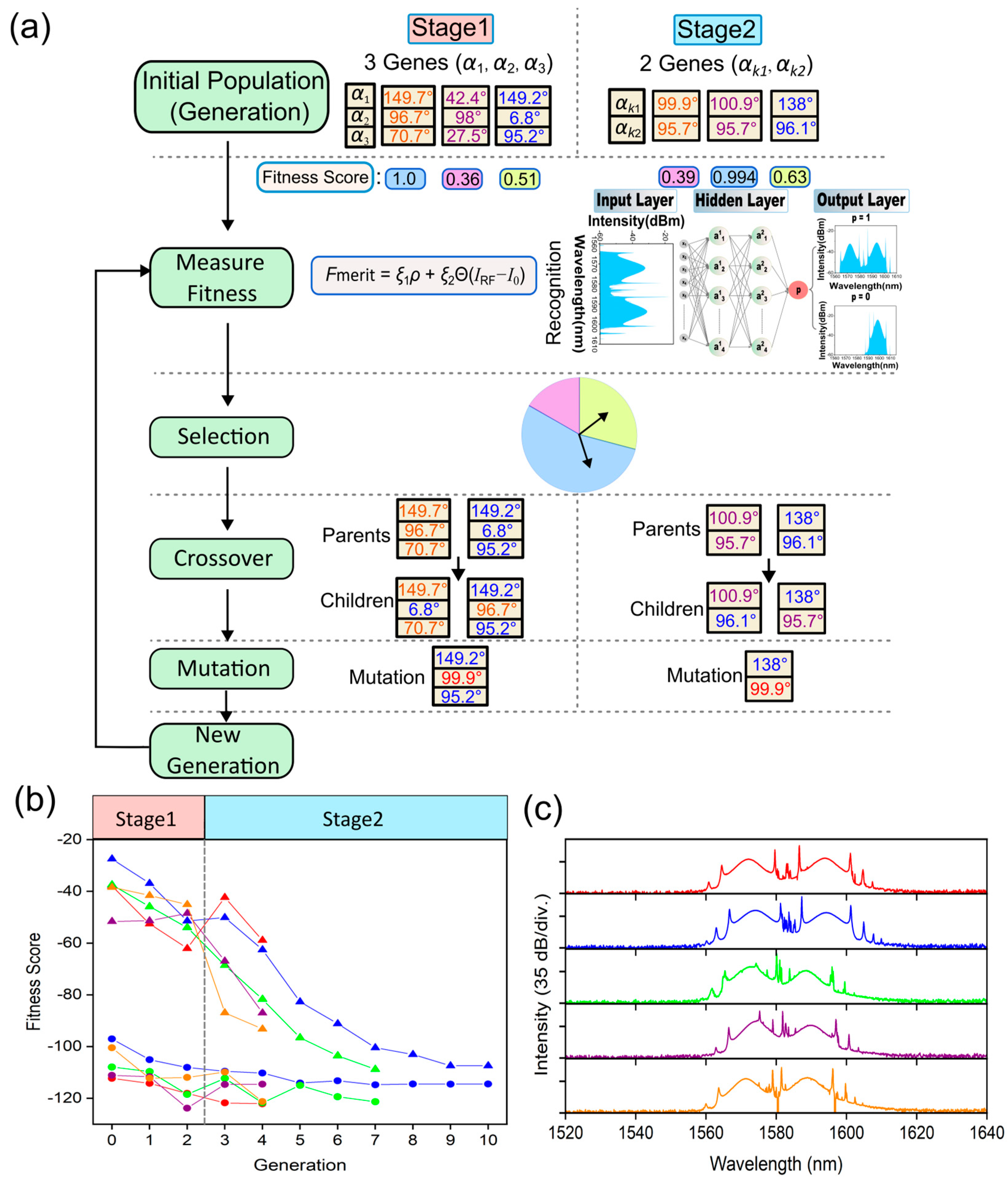 Machine Learning Based Automatic Mode-Locking of a Dual-Wavelength ...