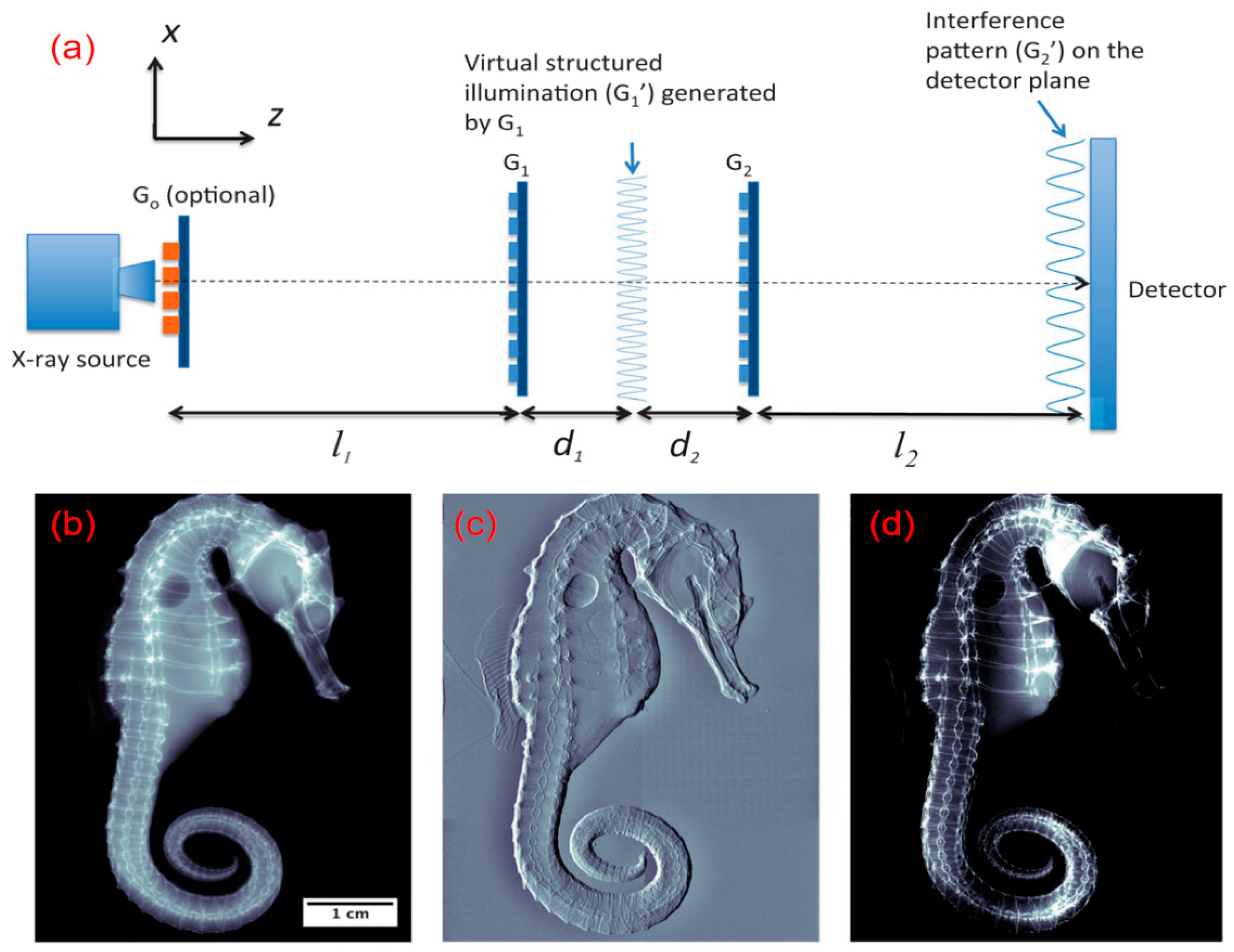 Research Progress of Grating-Based X-Ray Phase-Contrast Imaging and Key ...