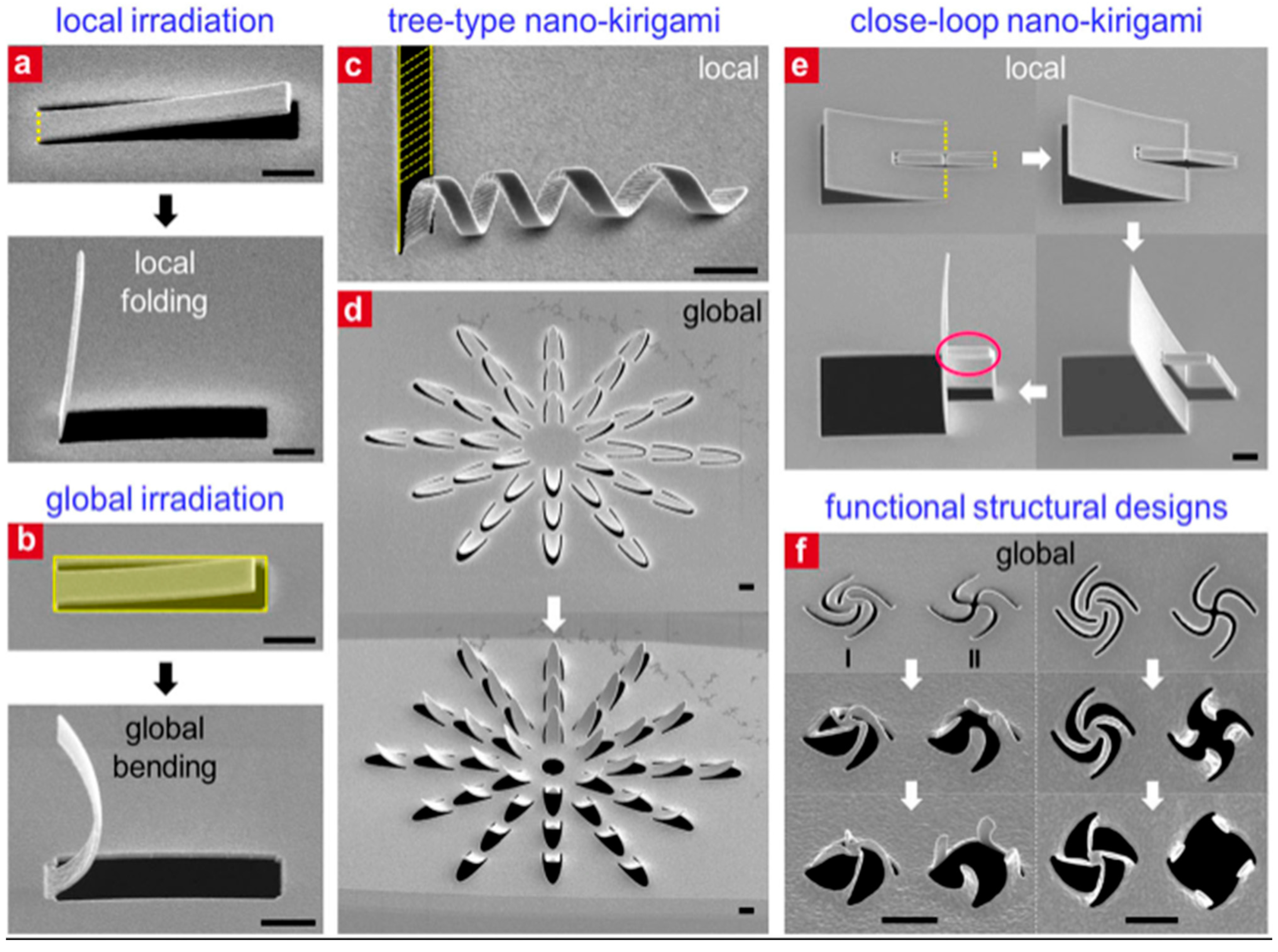 Metasurfaces in Optical Biosensing: Revolutionizing Detection ...
